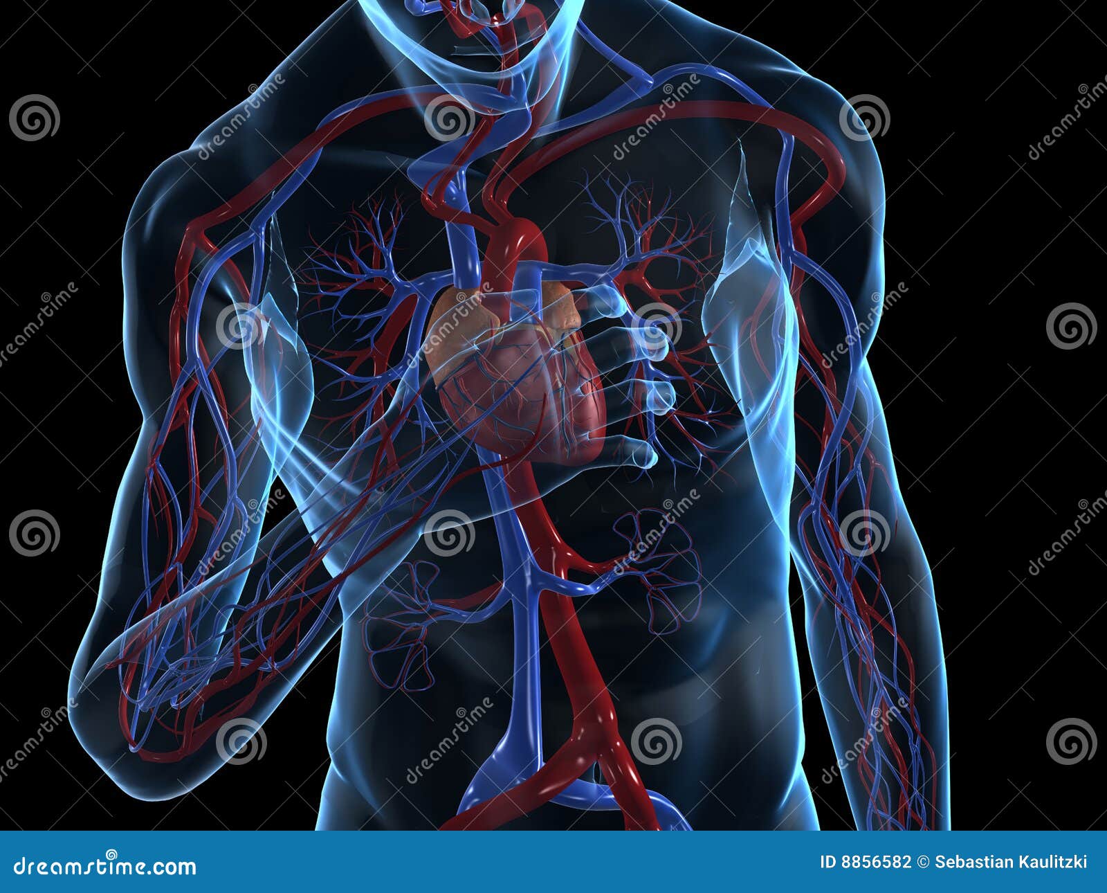 Heart attack stock illustration. Illustration of human - 8856582