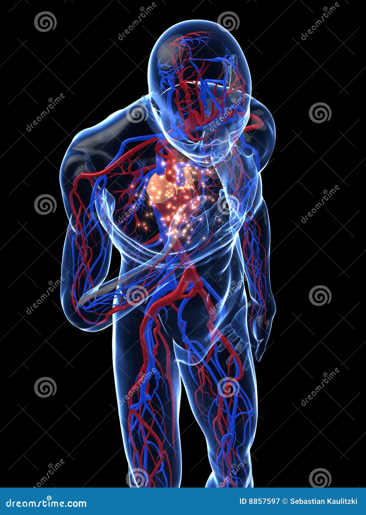 Heart attack stock illustration. Illustration of hospital - 8857597