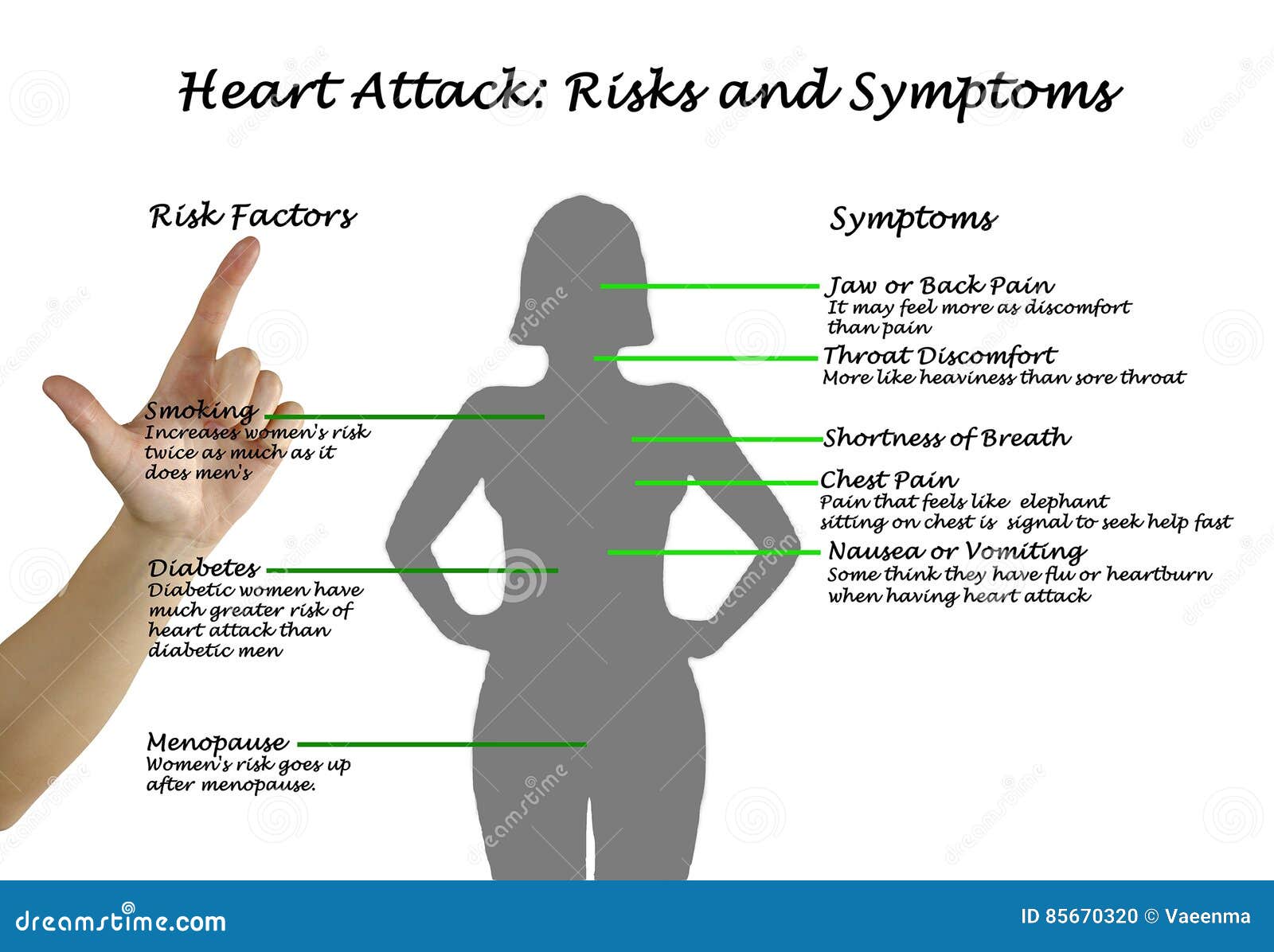 Heart Attack: Risks And Symptoms Royalty-Free Stock Image ...