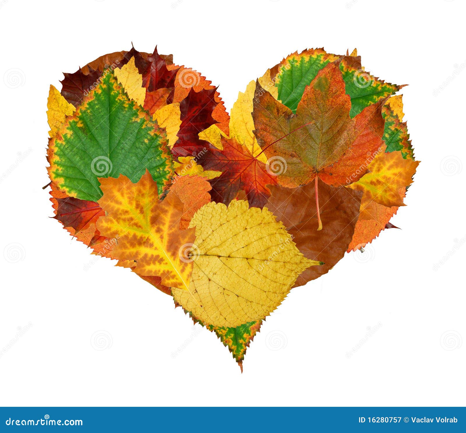 Heart of the autumn leaves stock image. Image of season - 16280757