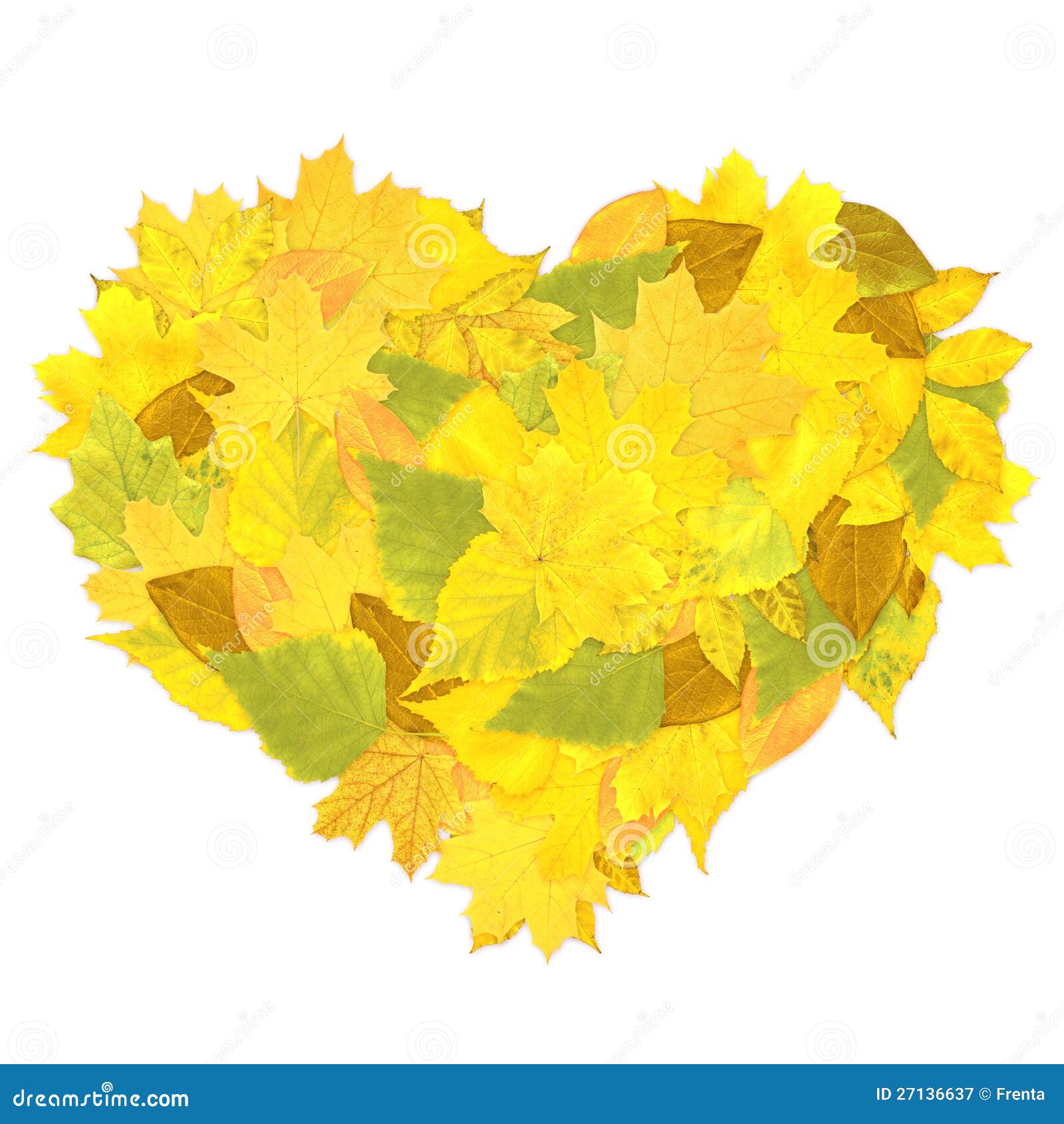 Heart from autumn leaves stock image. Image of decoration - 27136637