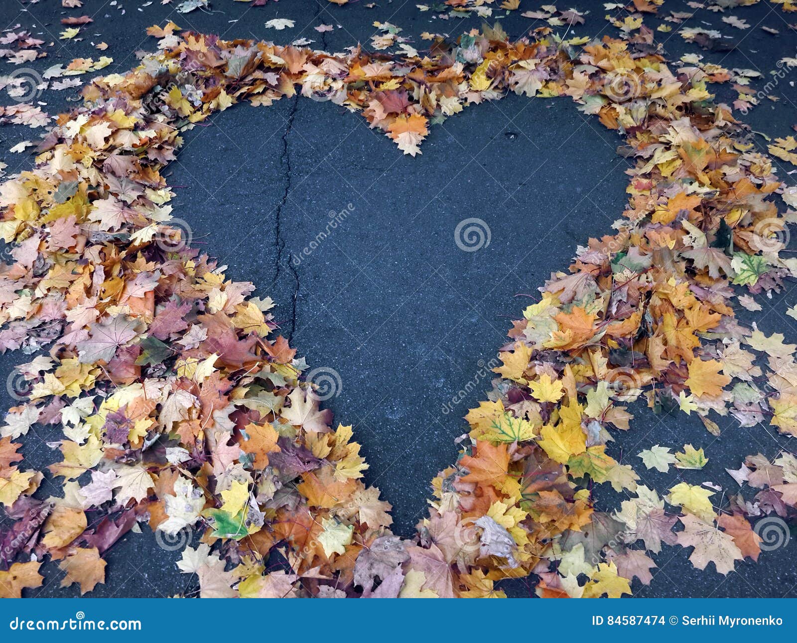 Heart from Autumn Maple Leaves at Asphalt Stock Photo - Image of golden ...