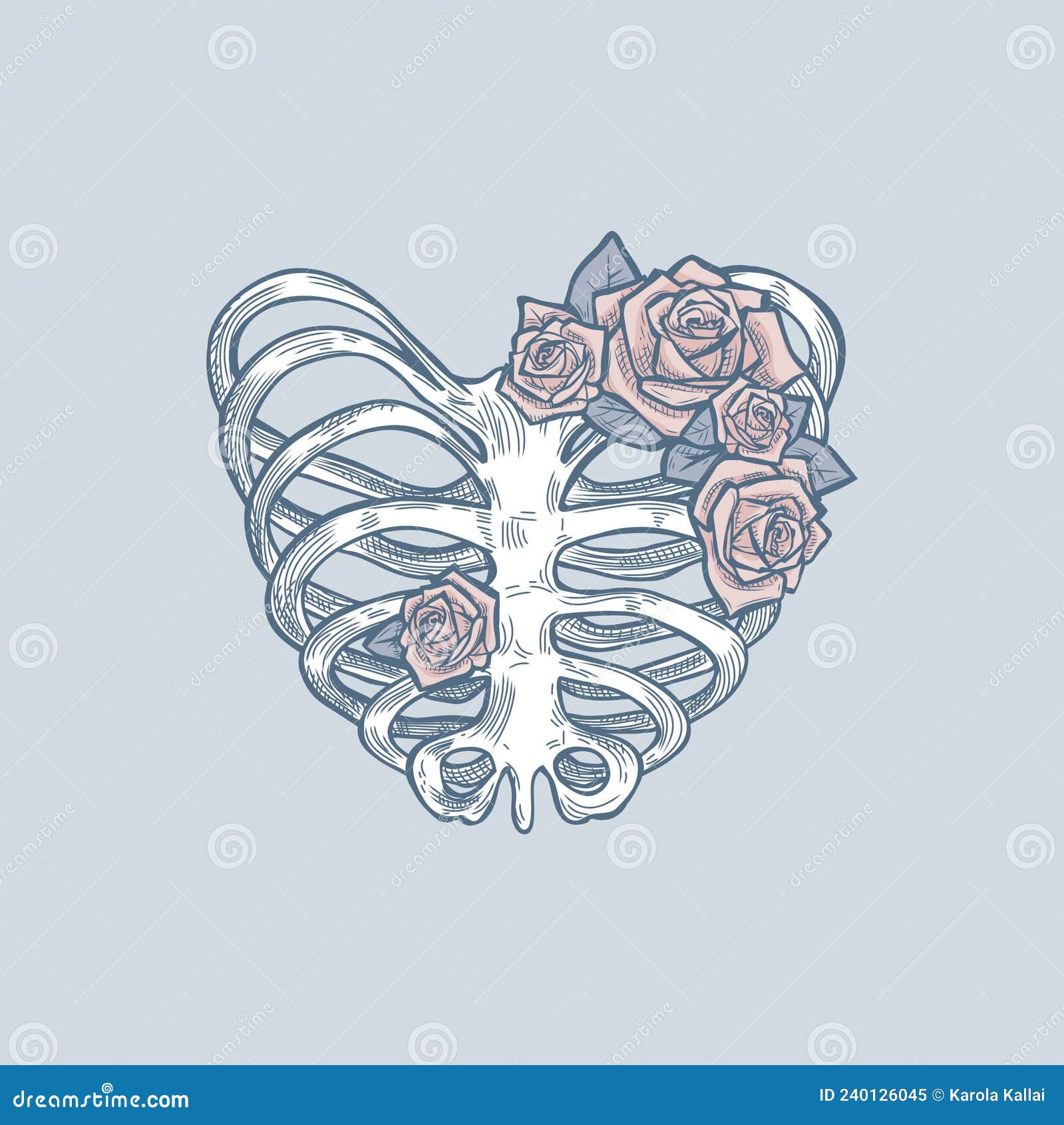 Skeleton Heart Flower. Lover Anatomy. Love Circulatory System Vector ...
