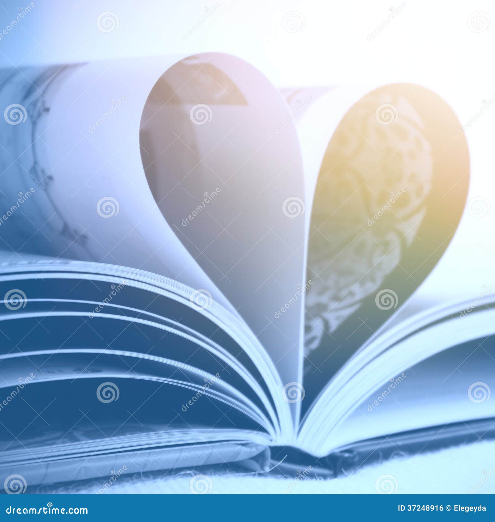 Heart from book pages stock photo. Image of knowledge - 37248916