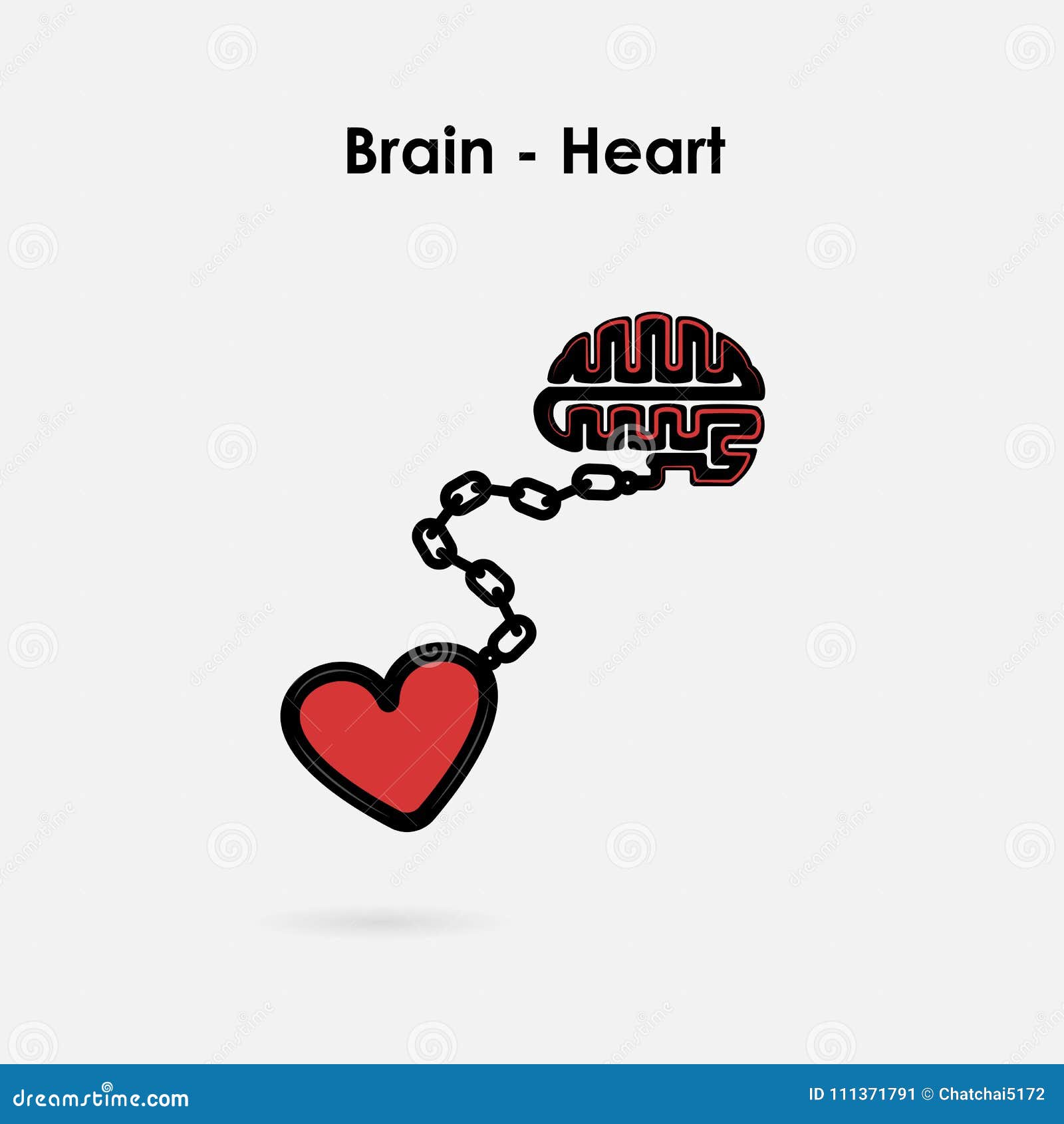 Heart and Brain Connection Concept.Brain and Heart Interactions Stock ...