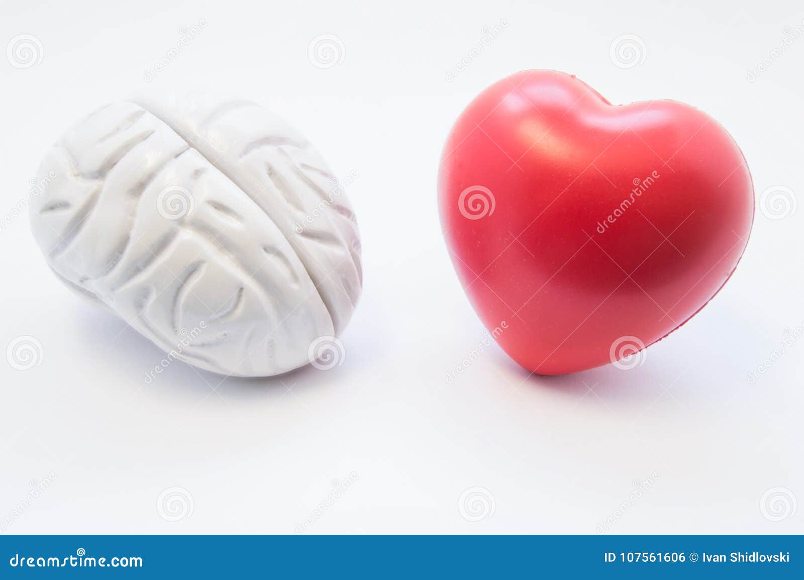 Heart and Brain Figures Lie Next To Each Other on White Background ...