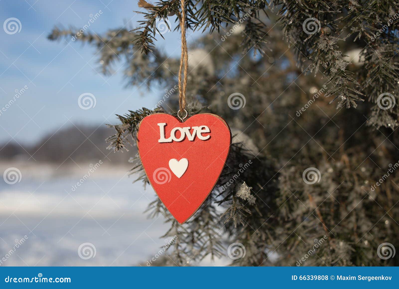 Heart on a branch stock photo. Image of snow, forest - 66339808