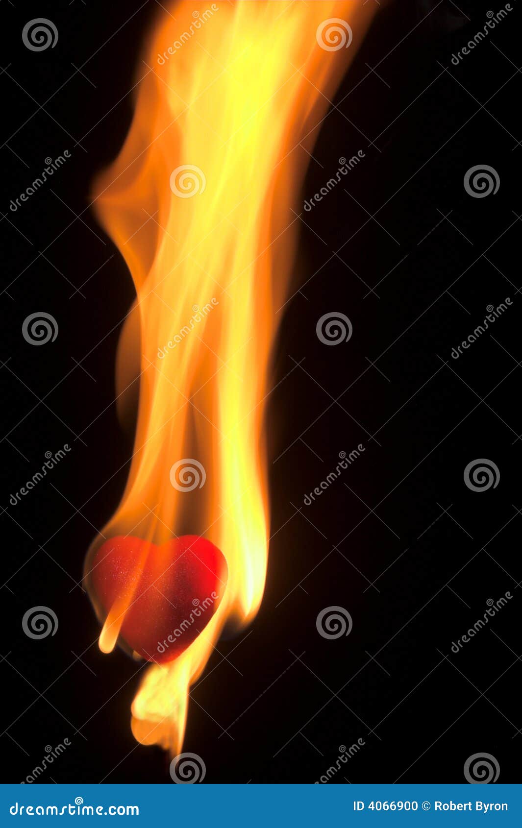 Heart Burn stock photo. Image of ignite, cupid, fury, fiery - 4066900