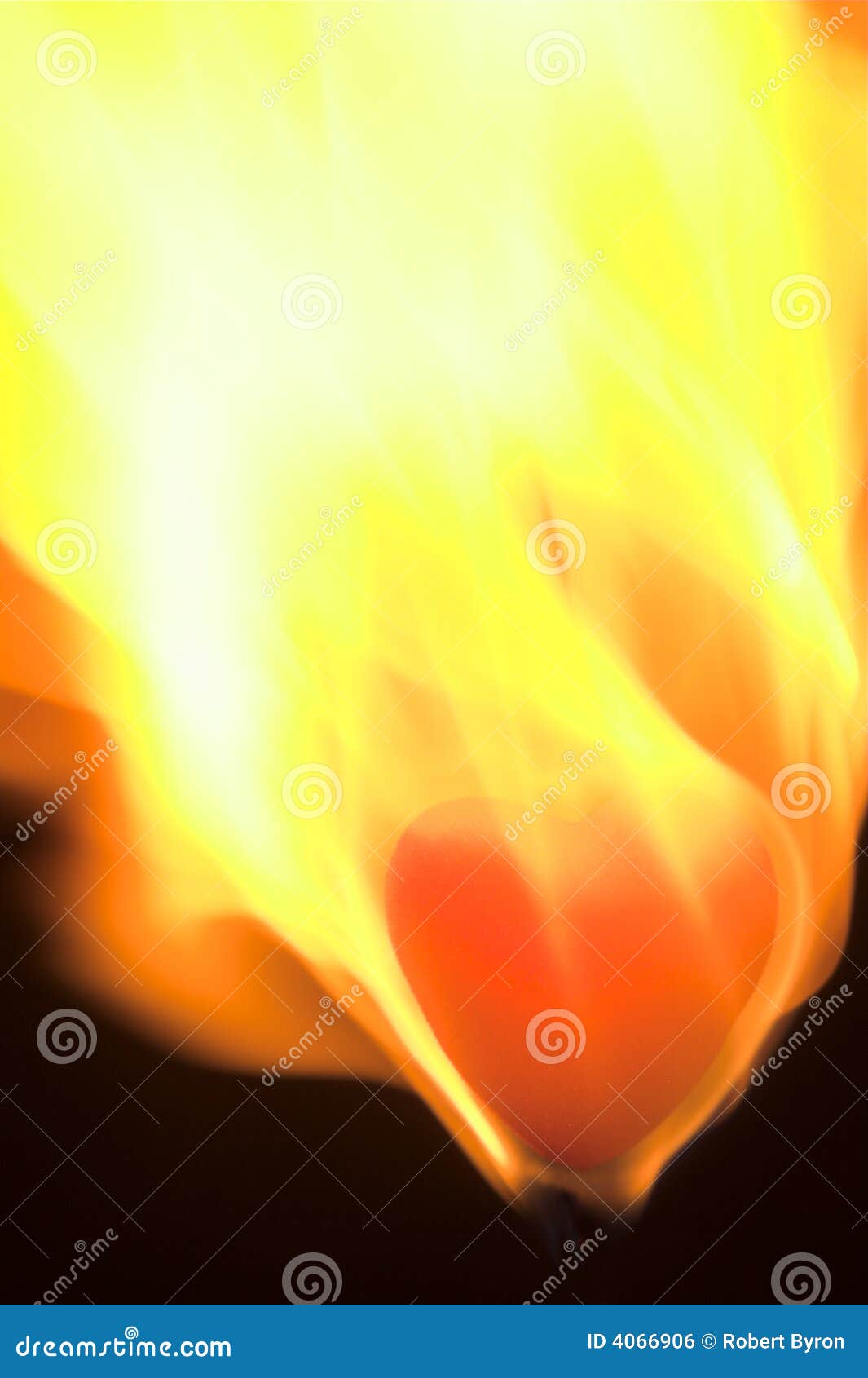 Heart Burn stock photo. Image of anniversary, flame, heart - 4066906