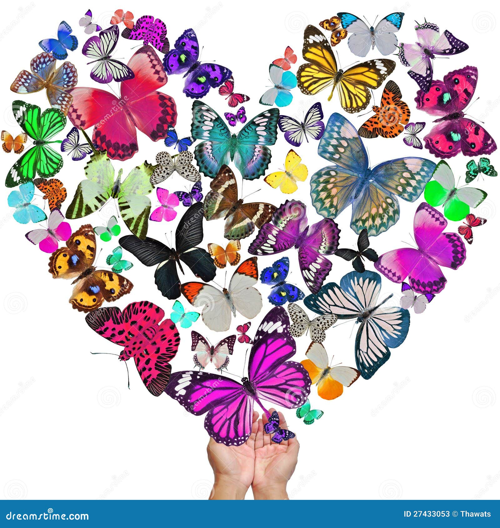 Heart of the butterflies stock image. Image of birthday - 27433053