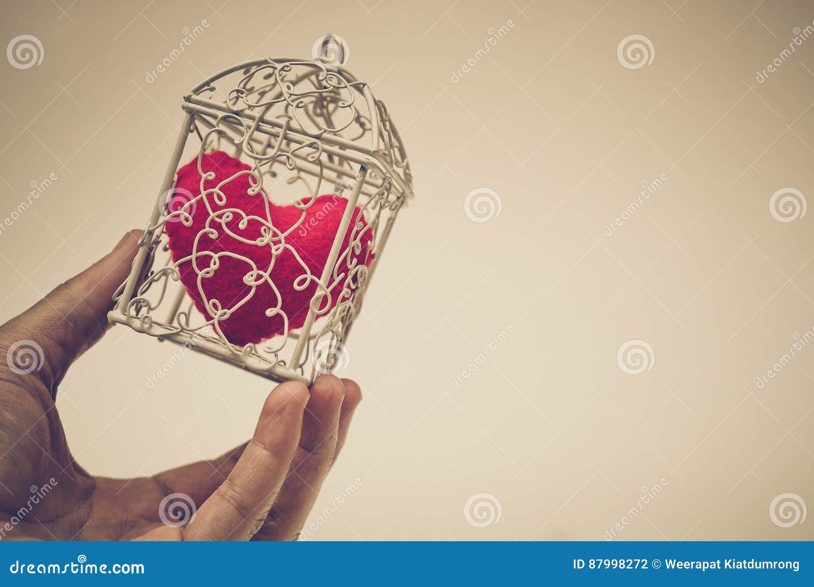 Heart in a cage stock photo. Image of chase, catch, compete - 87998272