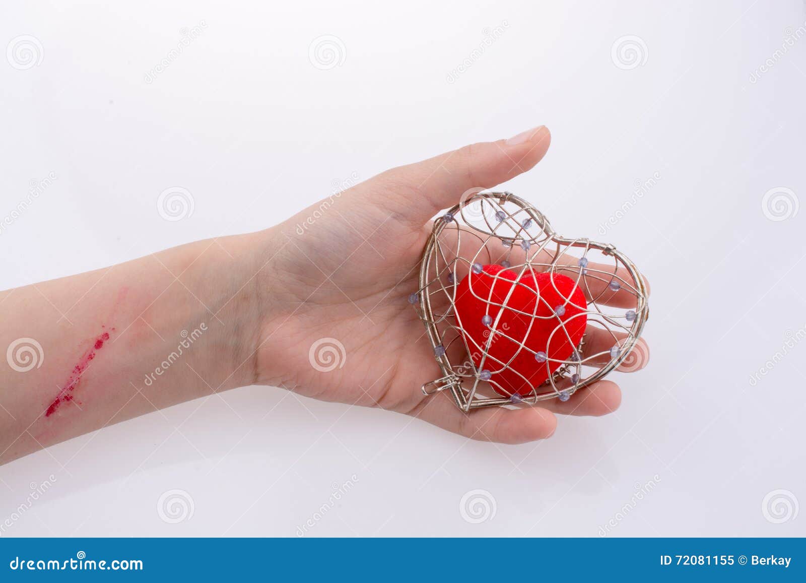 Heart in a cage stock image. Image of hand, lock, hold - 72081155