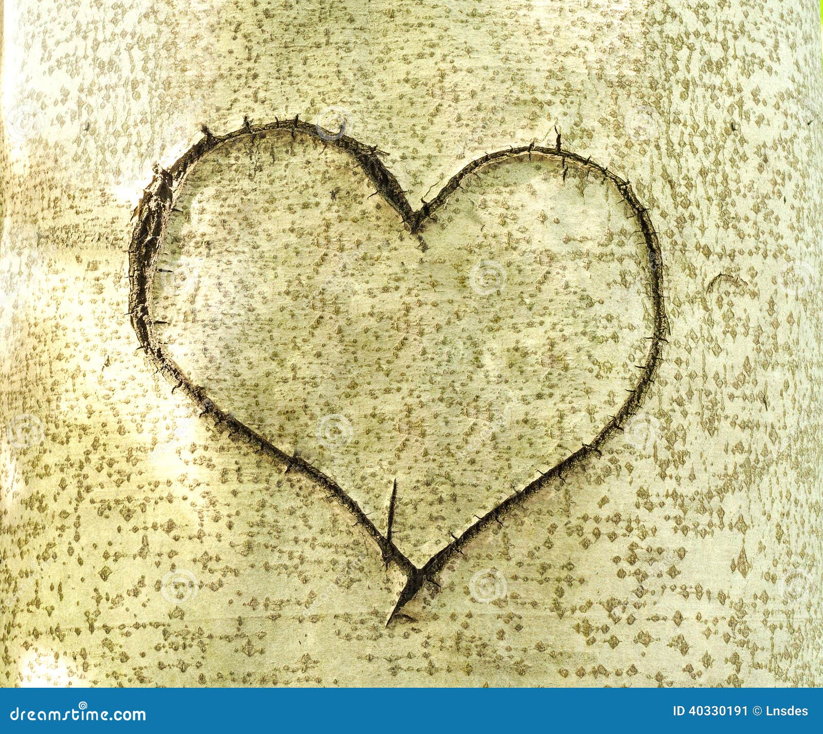 Heart Carved In Tree Drawing