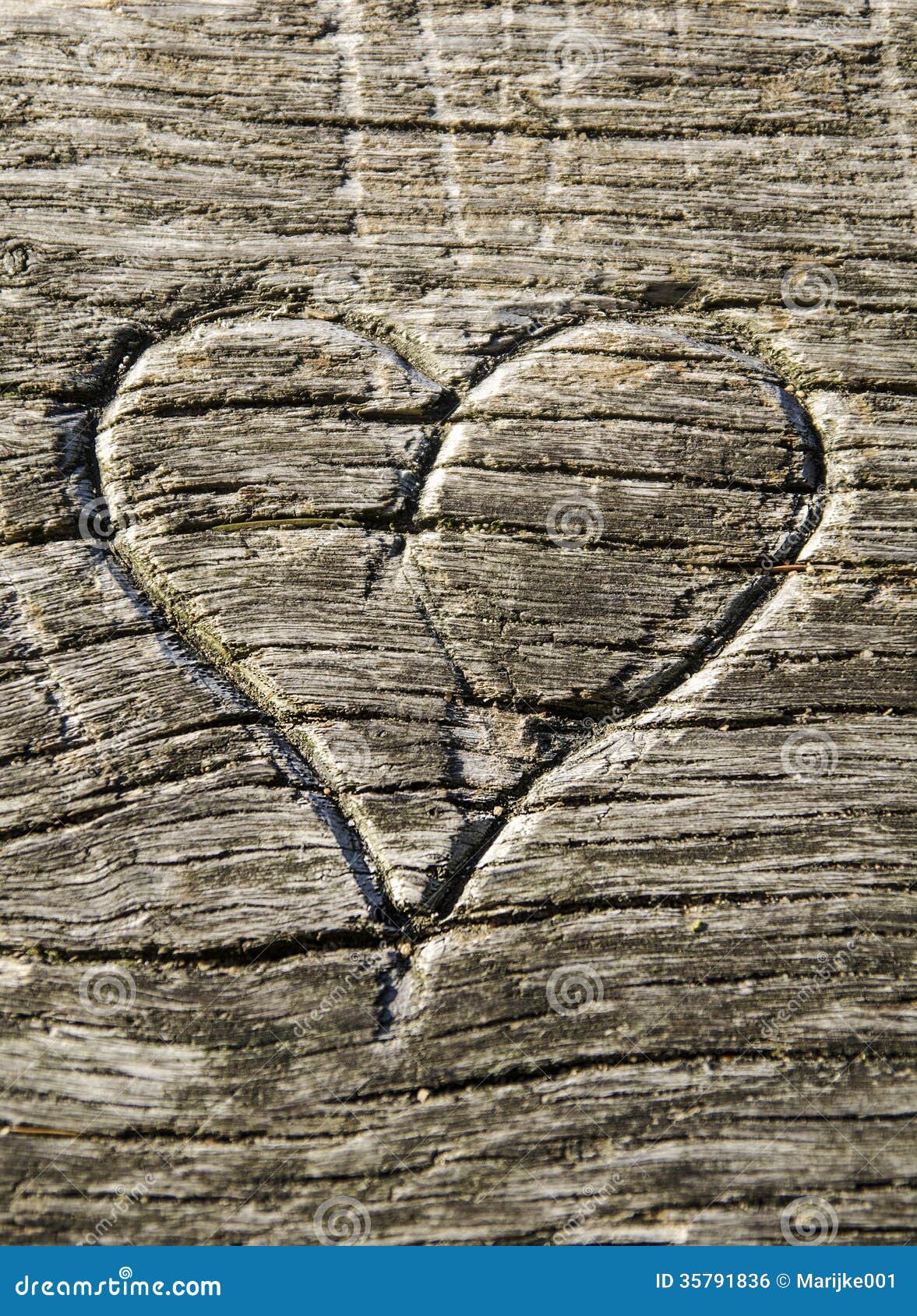 Heart stock photo. Image of heart, forever, carved, wood - 35791836