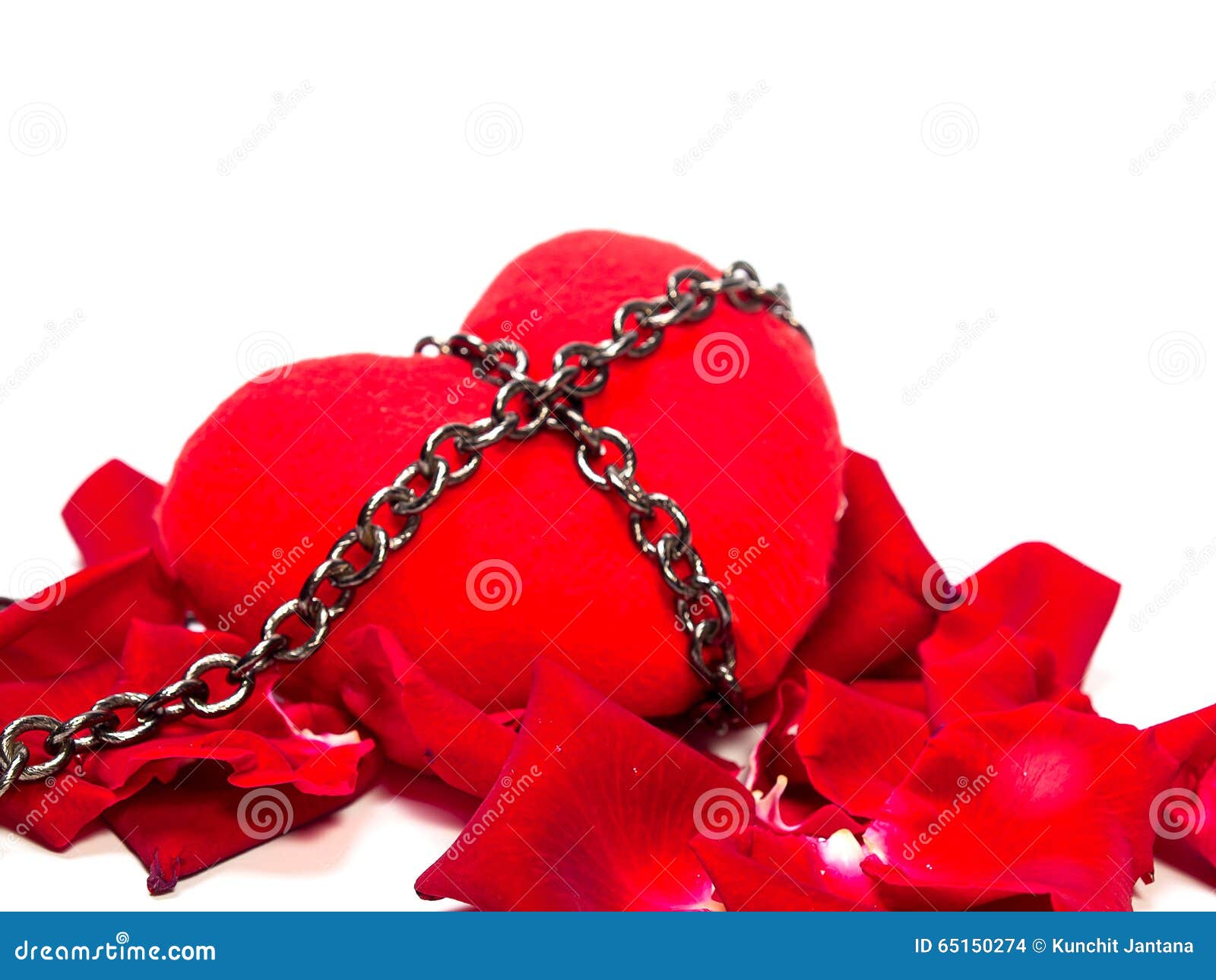 Heart with chain stock photo. Image of padlock, isolated - 65150274