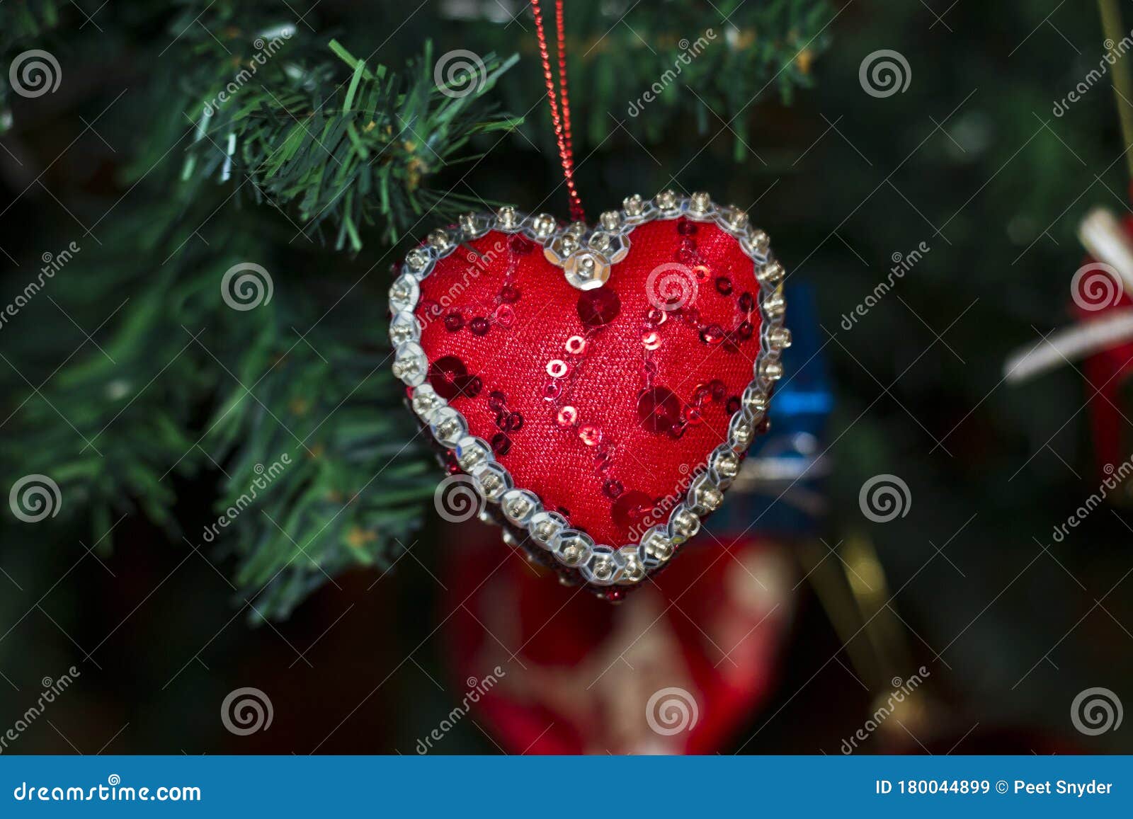Heart Decoration on a Christmas Tree Stock Image - Image of plant ...