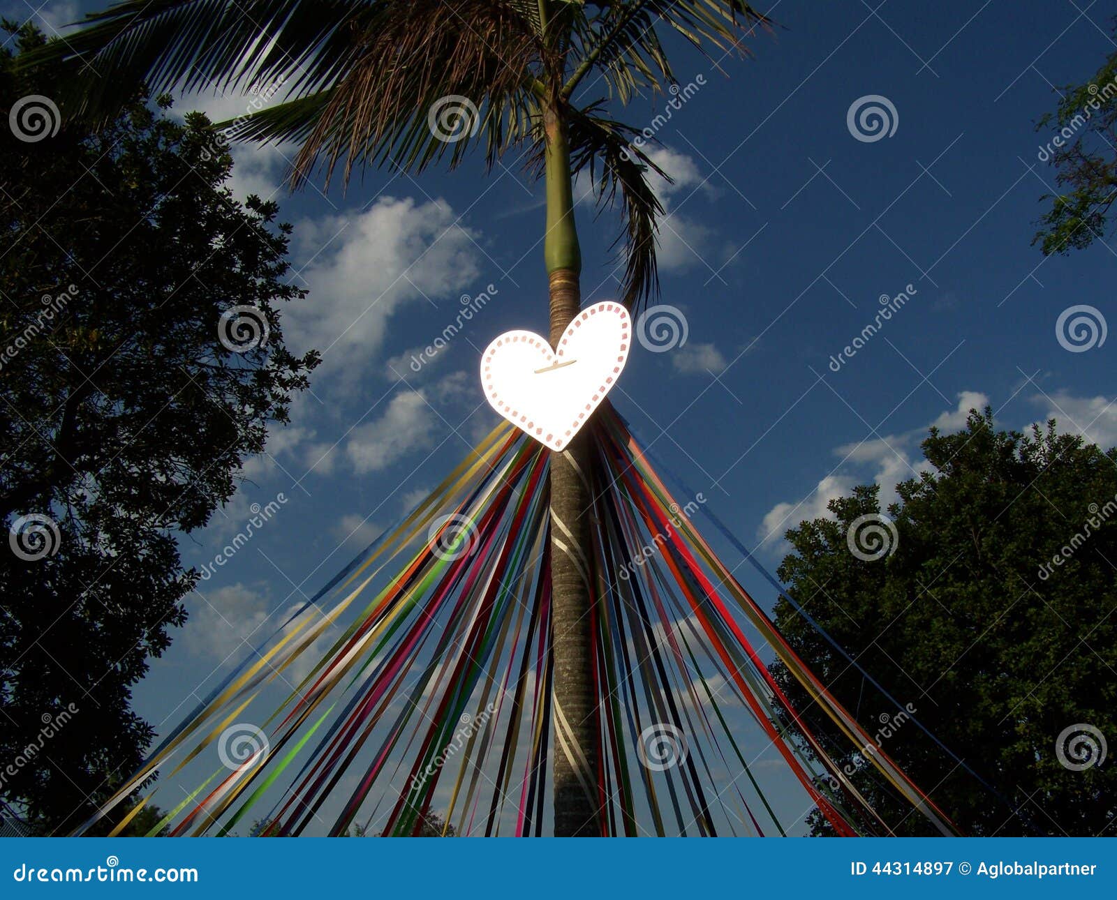 Heart stock image. Image of palm, love, loveheart, tree - 44314897