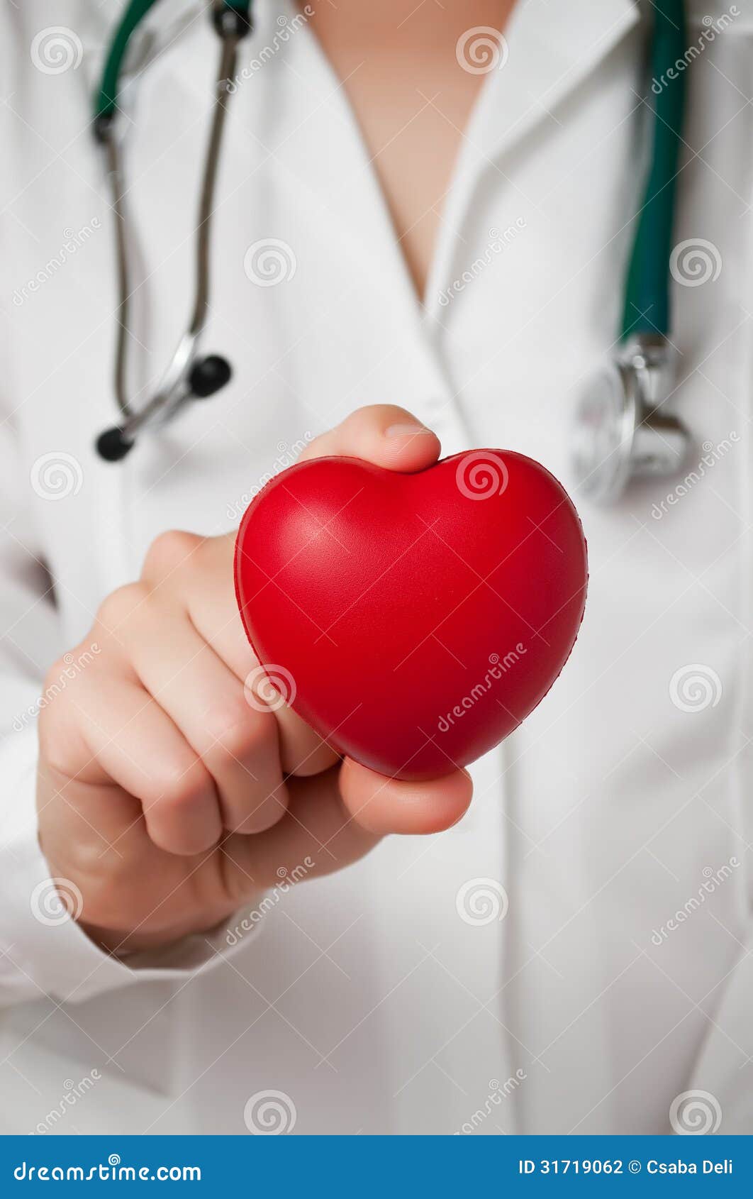 Heart in doctor s hand stock photo. Image of healthy - 31719062