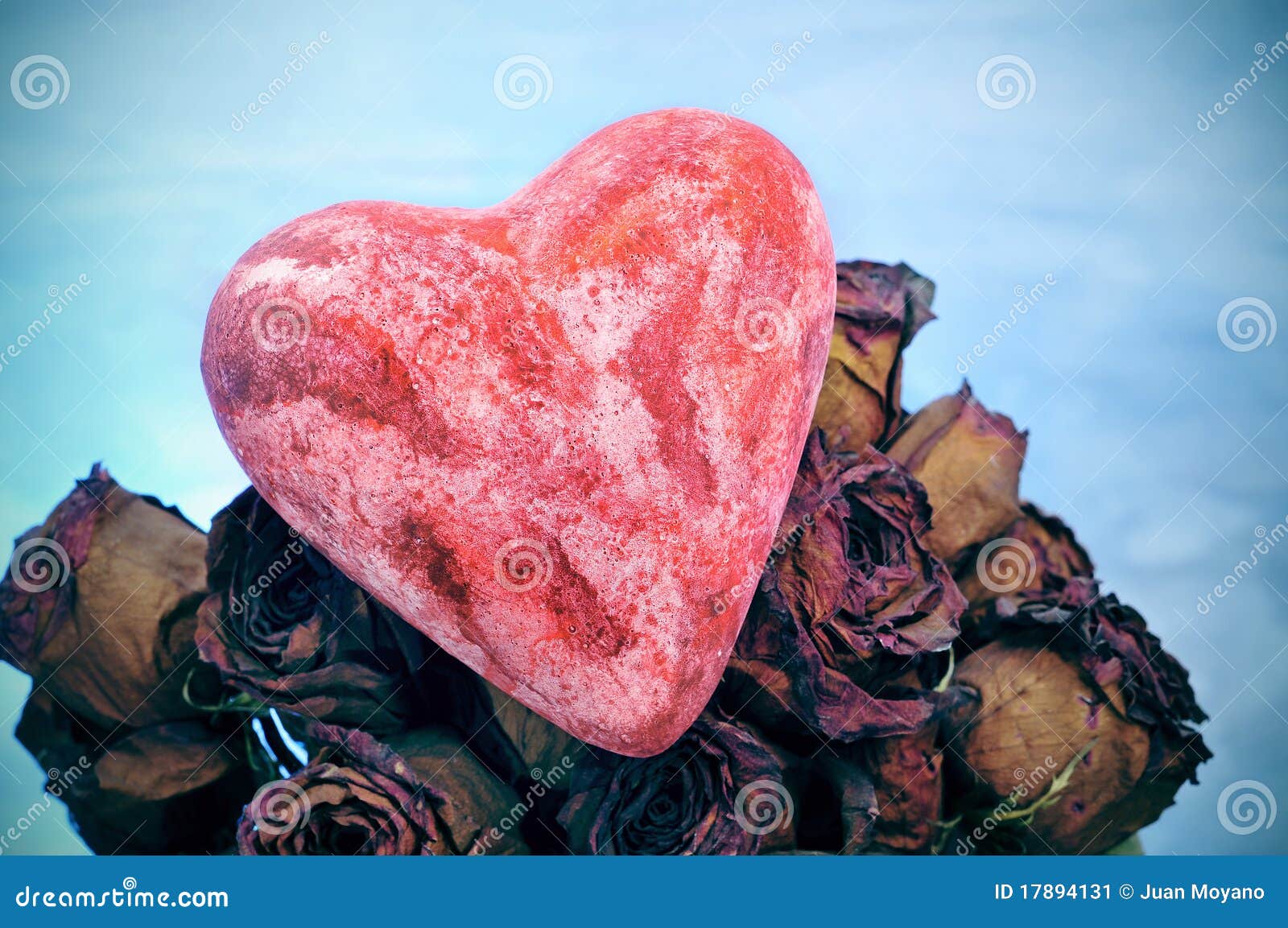 922 Dried Roses Heart Photos - Free & Royalty-Free Stock Photos from ...