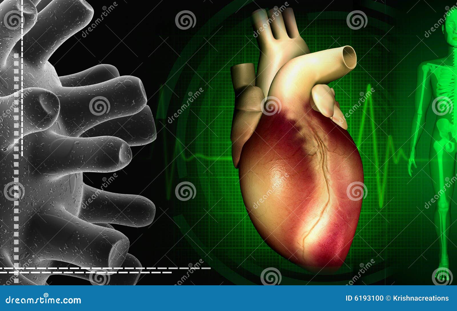 Heart with Eco Cardio Gram Pulse Stock Illustration - Illustration of ...
