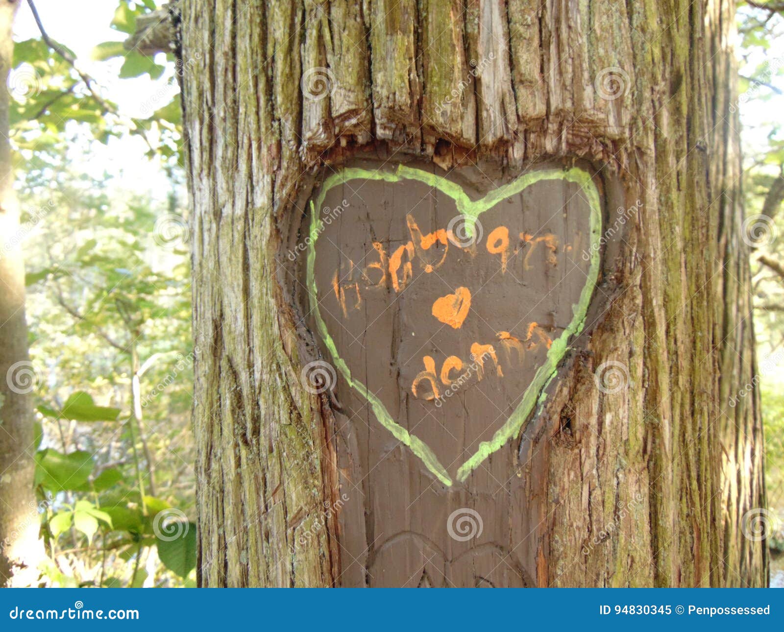 Heart Engraved on Tree stock image. Image of close, graffiti - 94830345