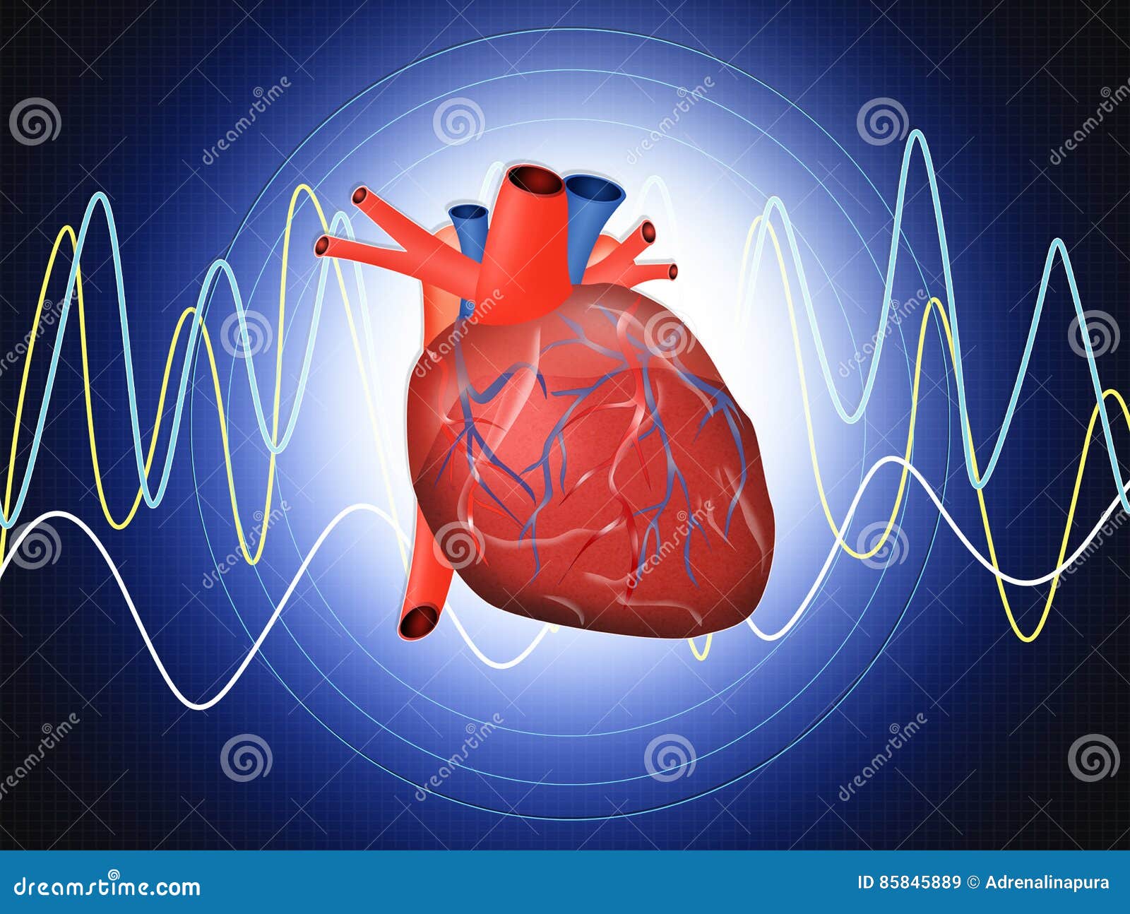 Heart Examination Symbols Doodle Set Vector Illustration ...