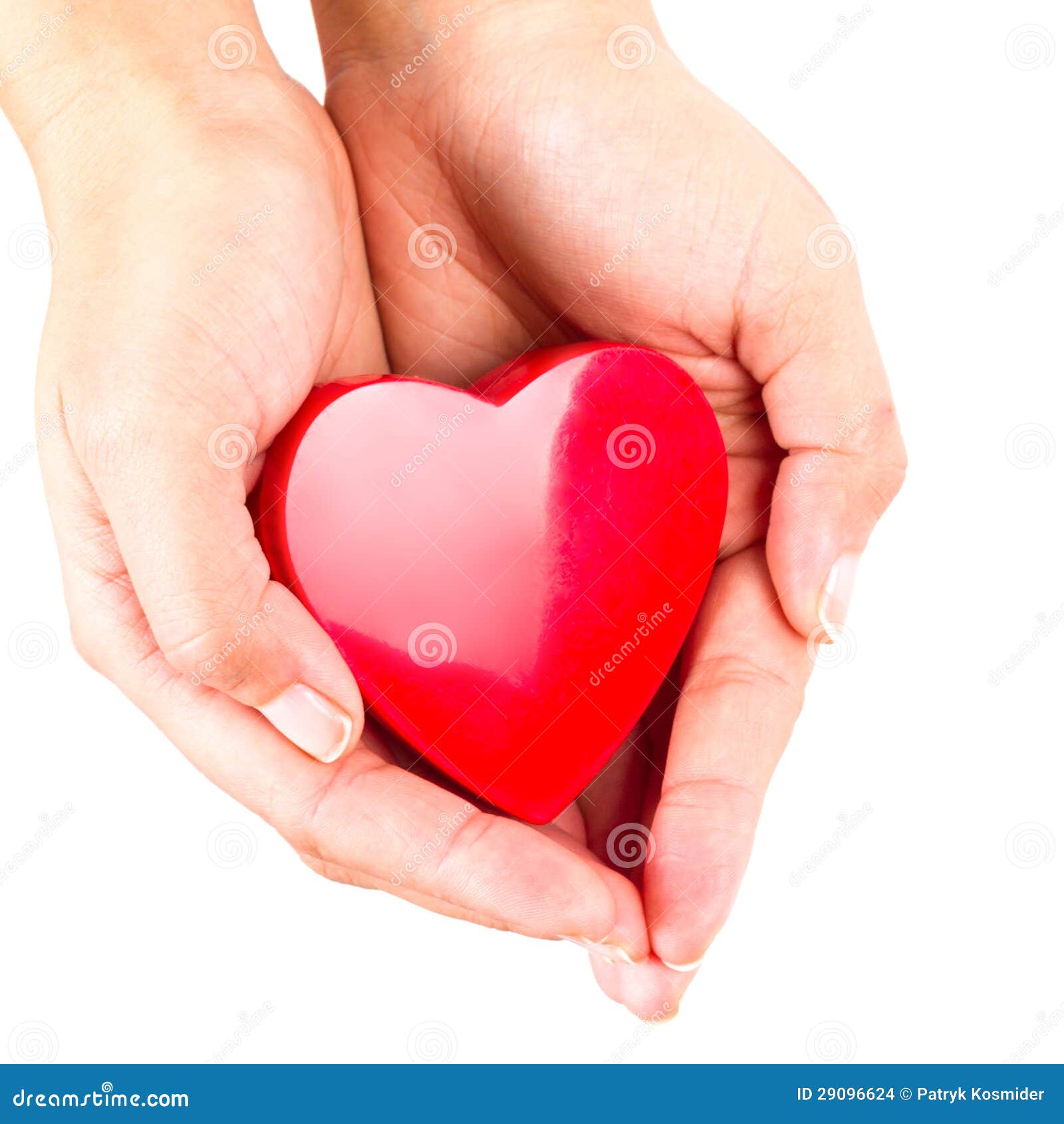 Heart in female hands stock photo. Image of hands, affection - 29096624
