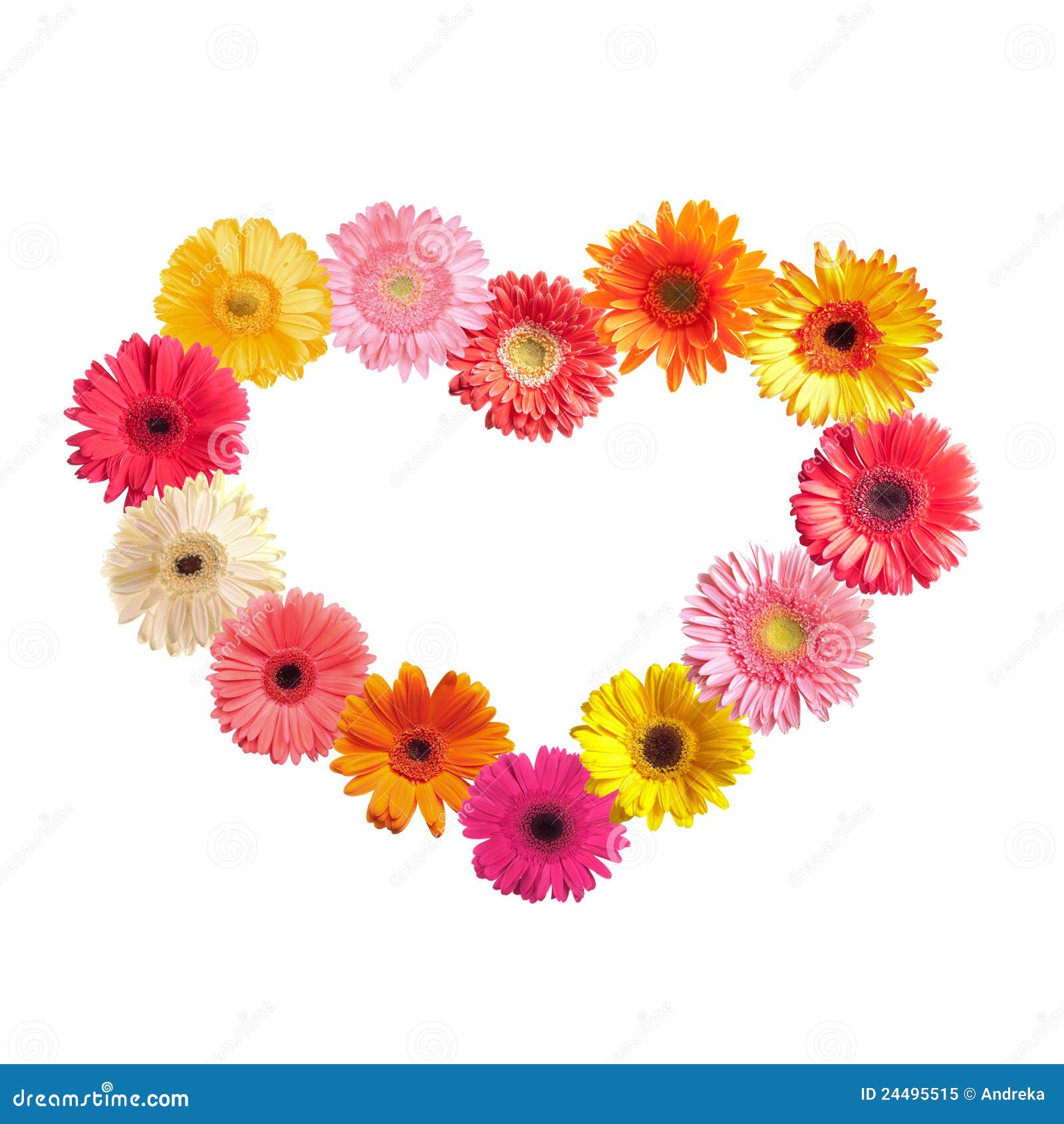 Heart of flowers stock image. Image of collection, flower - 24495515