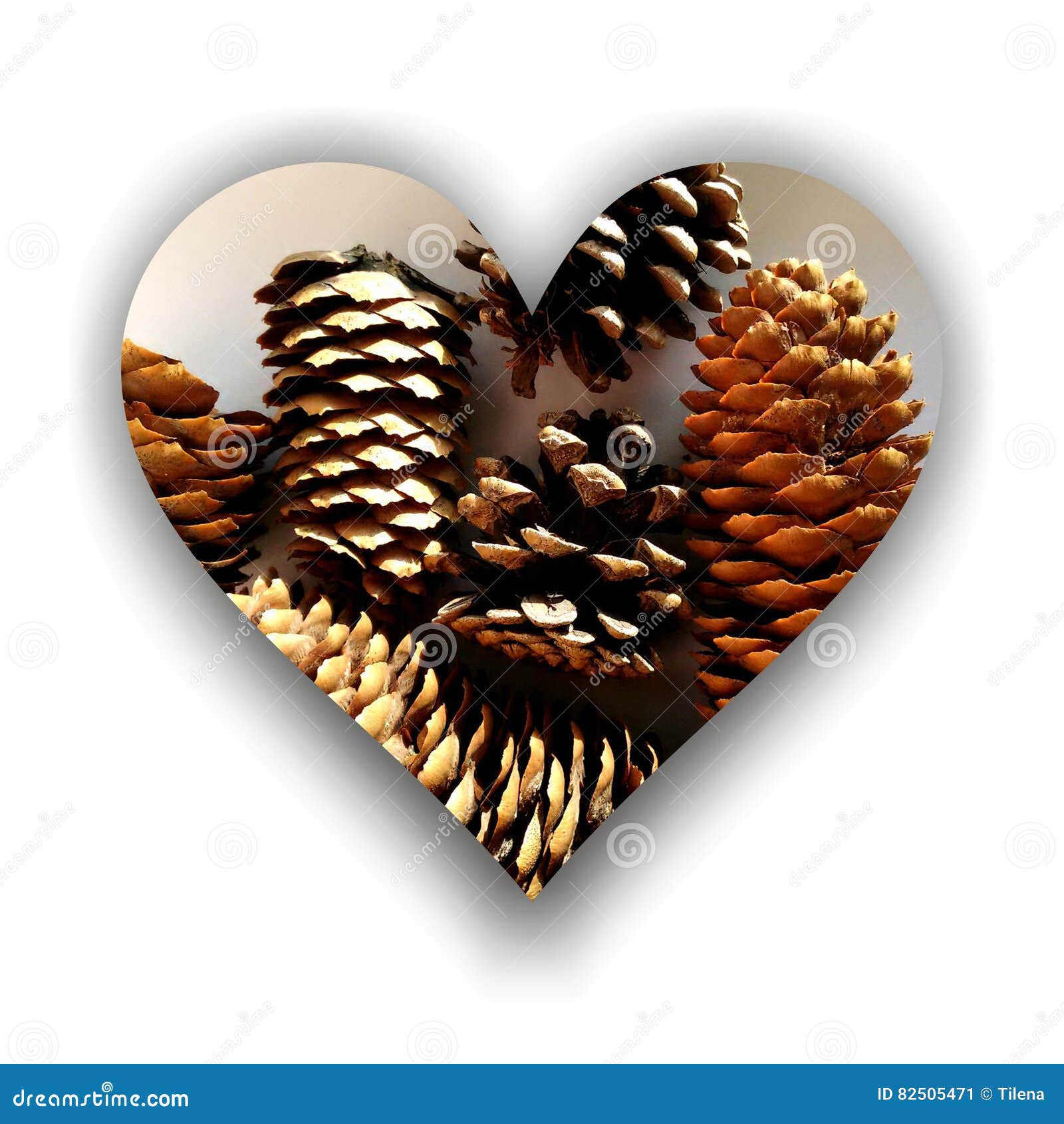 Heart Form Full of Pine Cones Stock Illustration - Illustration of ...