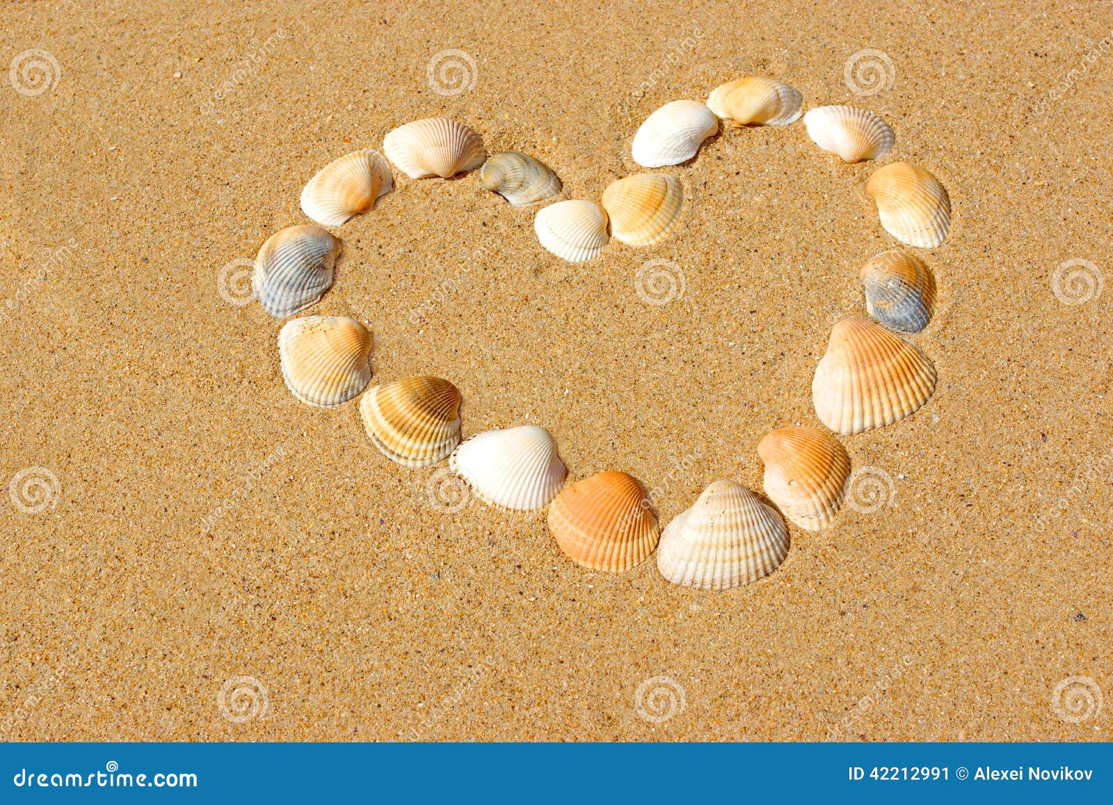 Heart Frame Made of Sea Shells Stock Image - Image of vacation ...