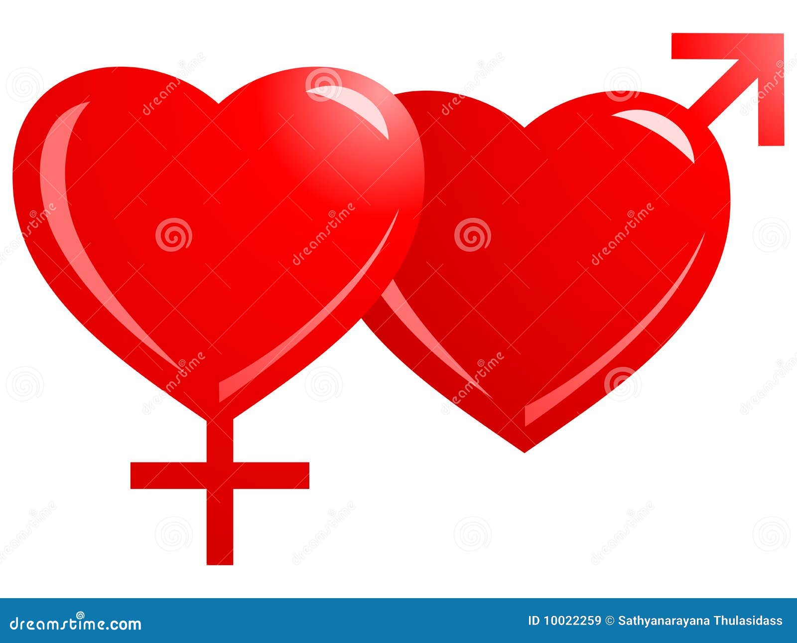 Heart Gender Symbols stock vector. Illustration of gender - 10022259