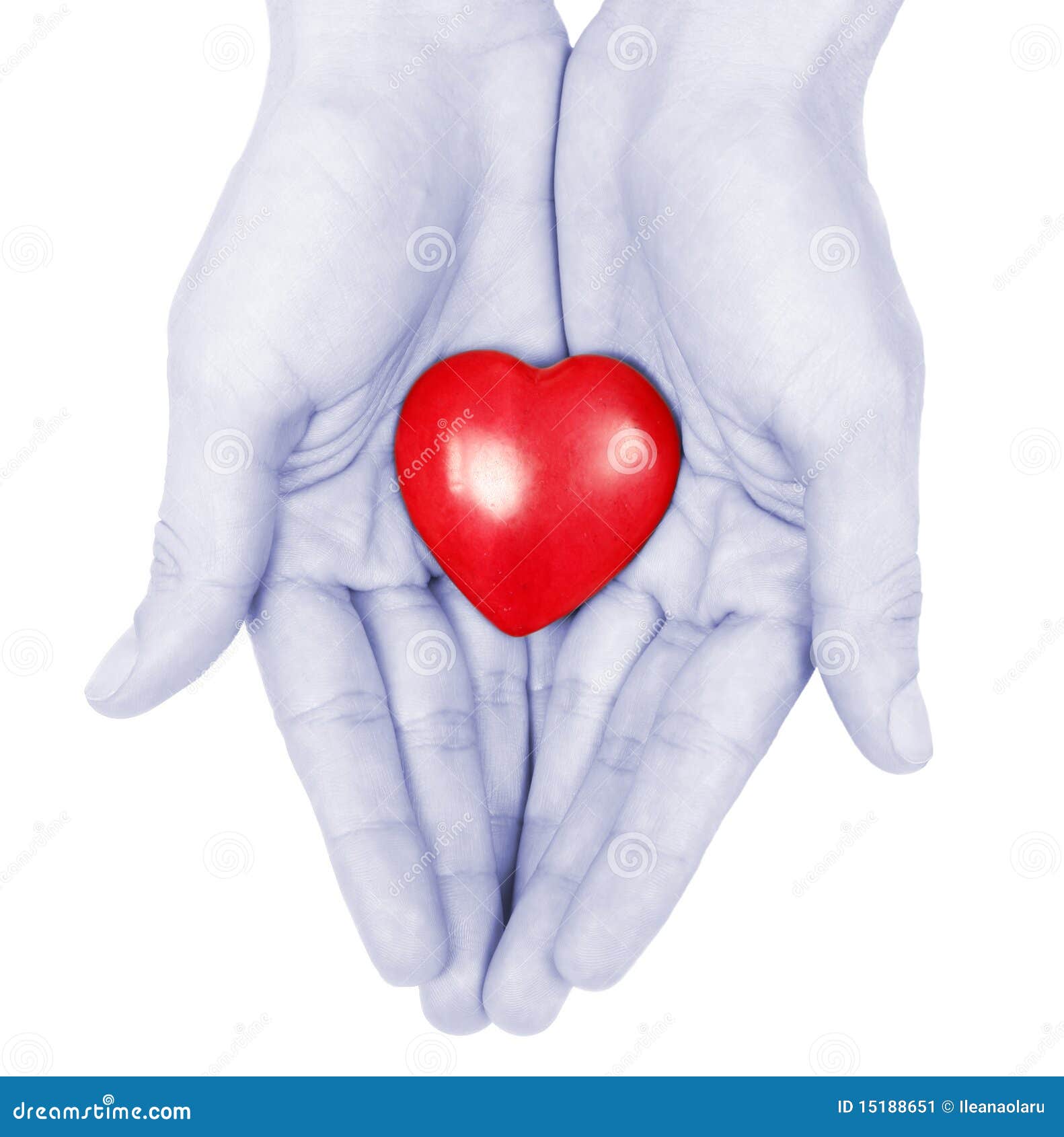 Heart giving stock image. Image of care, love, hurt, happiness - 15188651
