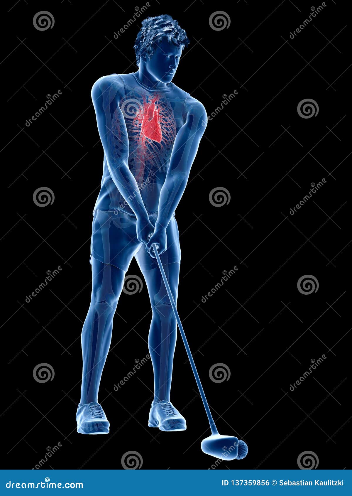 The heart of a golf player stock illustration. Illustration of health ...