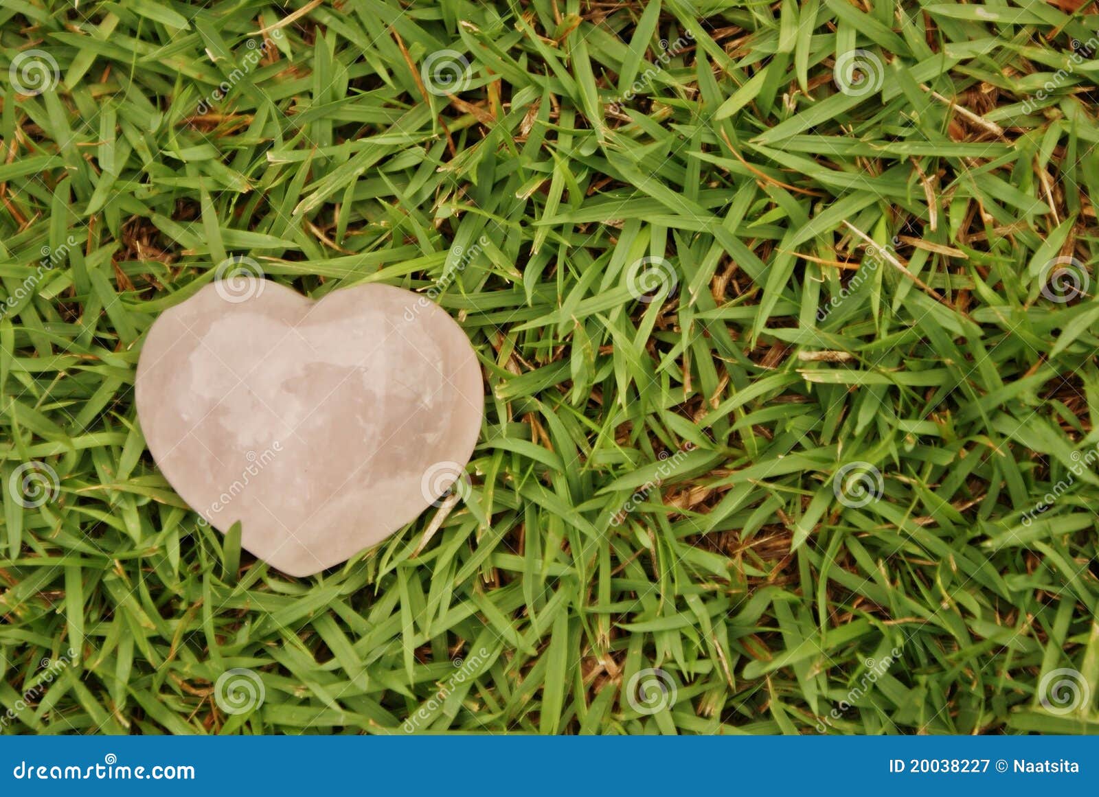 Heart on grass stock image. Image of romance, lawn, spring - 20038227