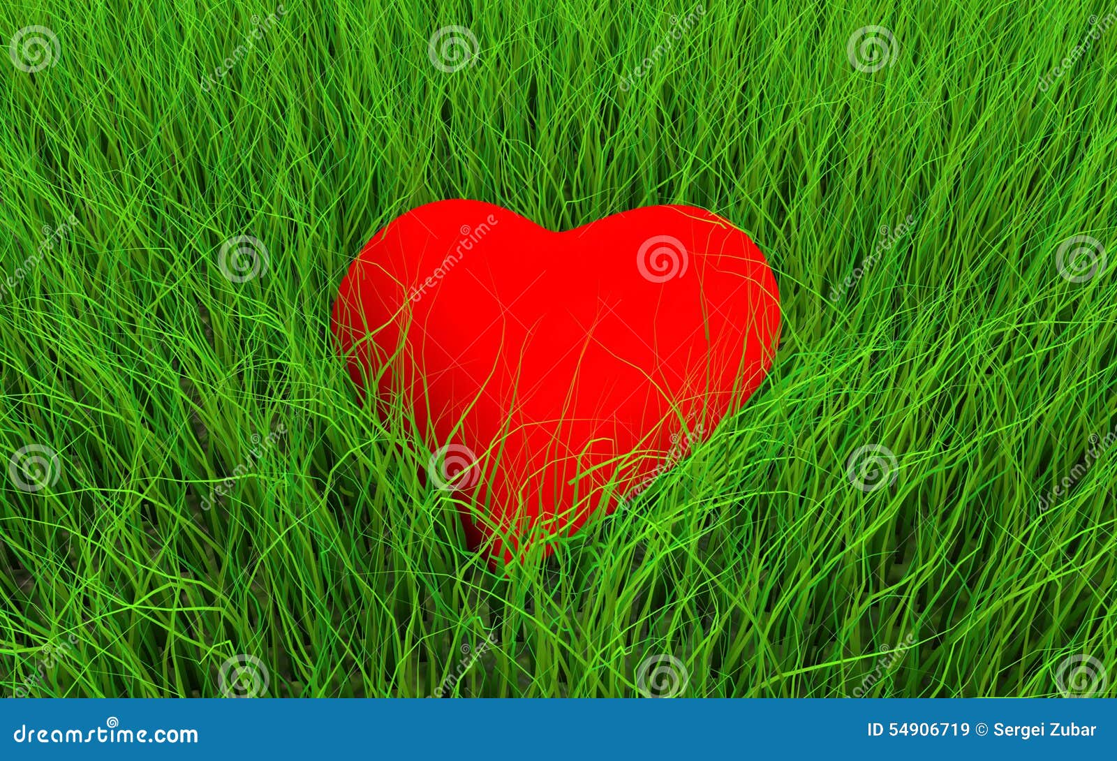 Heart in the grass stock illustration. Illustration of green - 54906719
