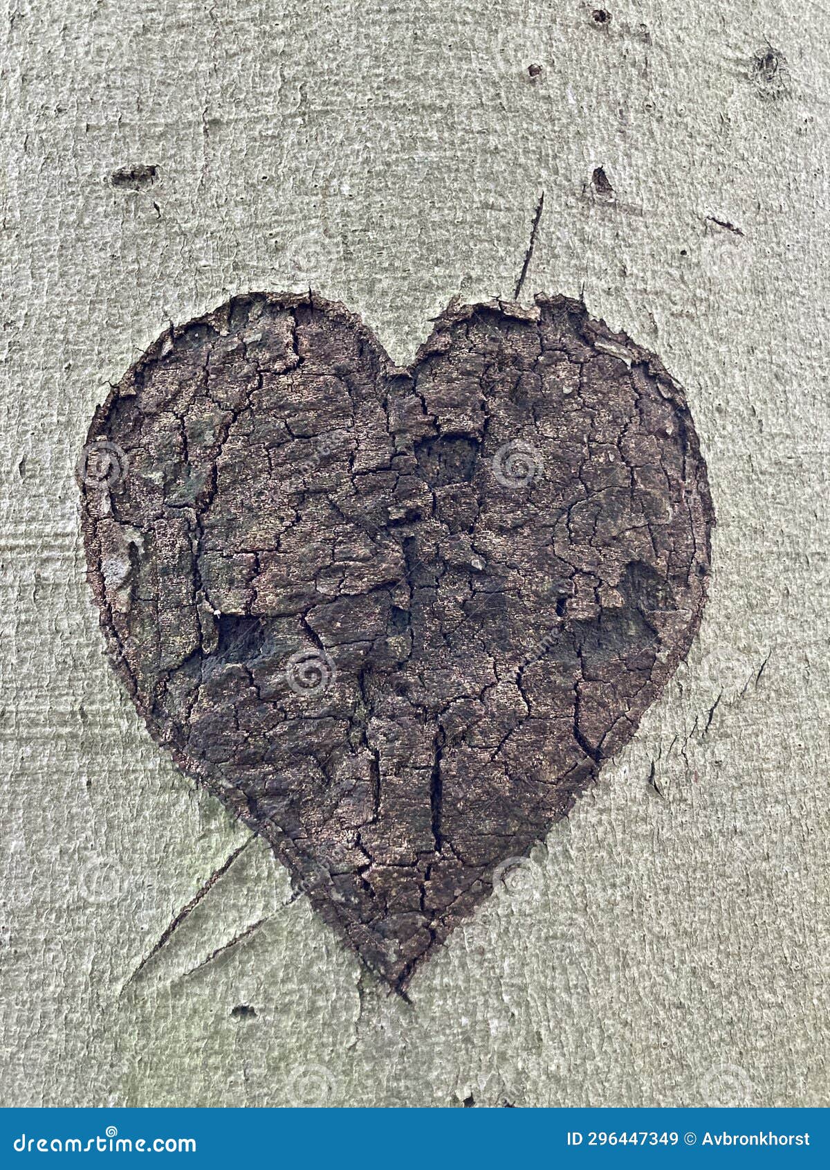 Heart in gray tree bark stock image. Image of heart - 296447349