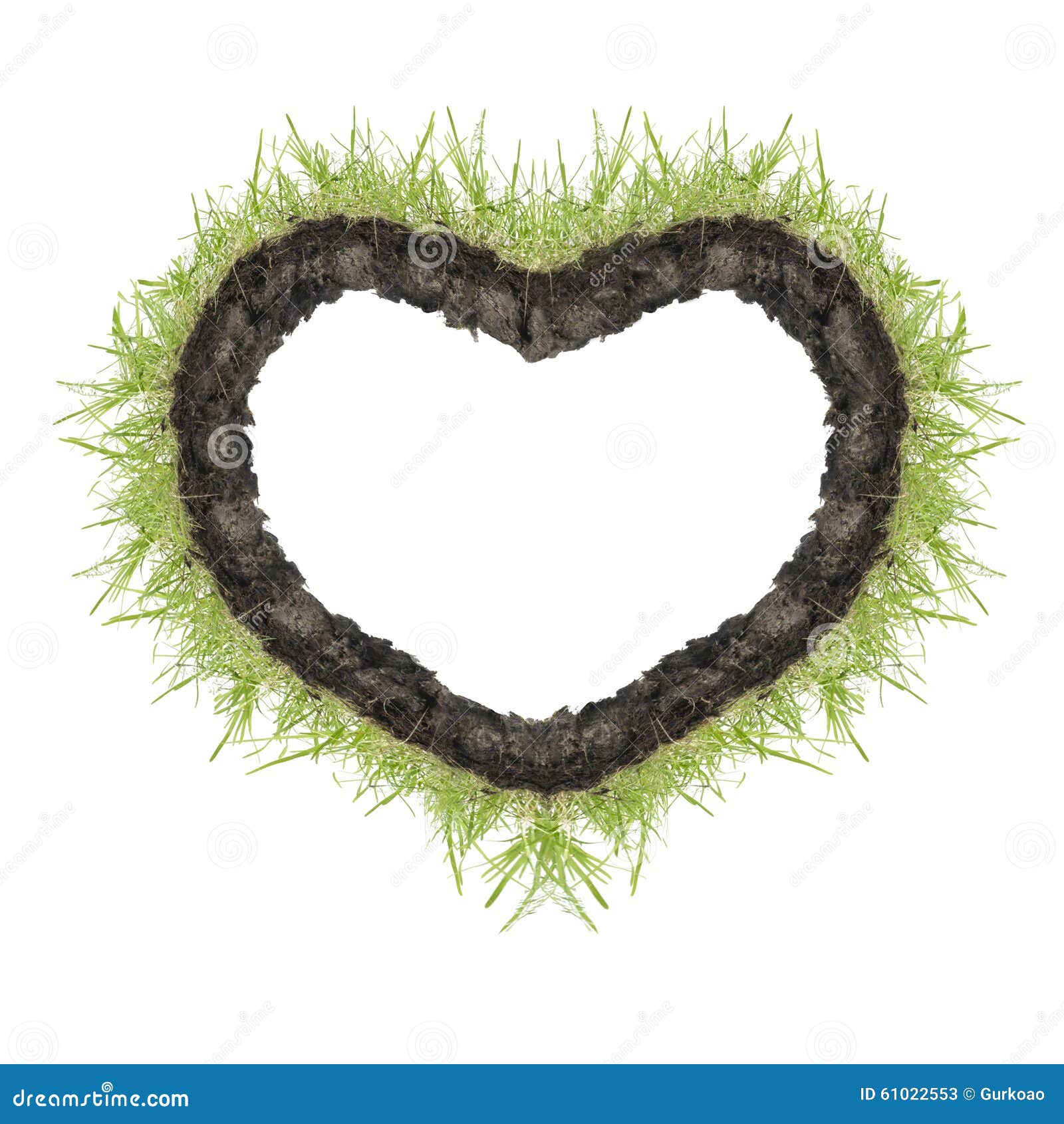 Heart of green grass stock image. Image of pasture, growth - 61022553
