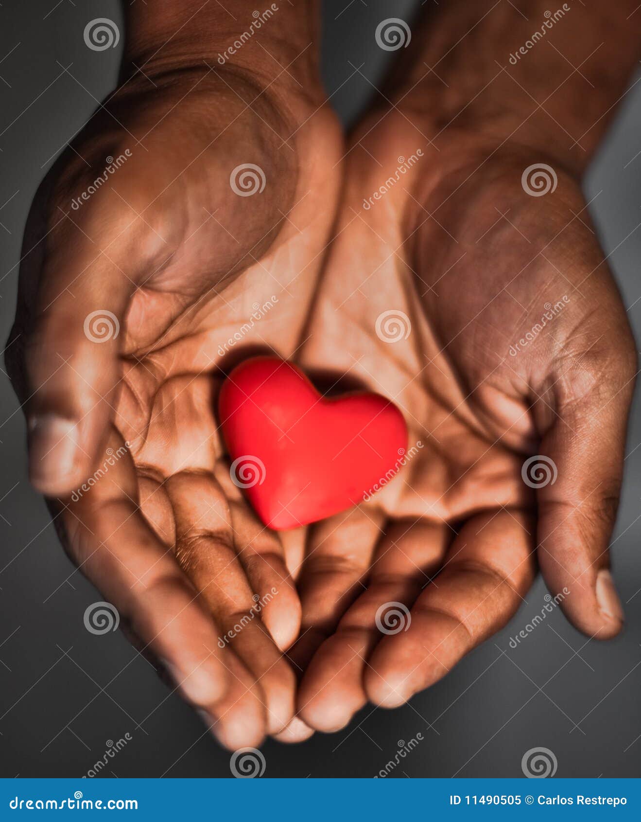 Heart in hand stock image. Image of concept, give, care - 11490505