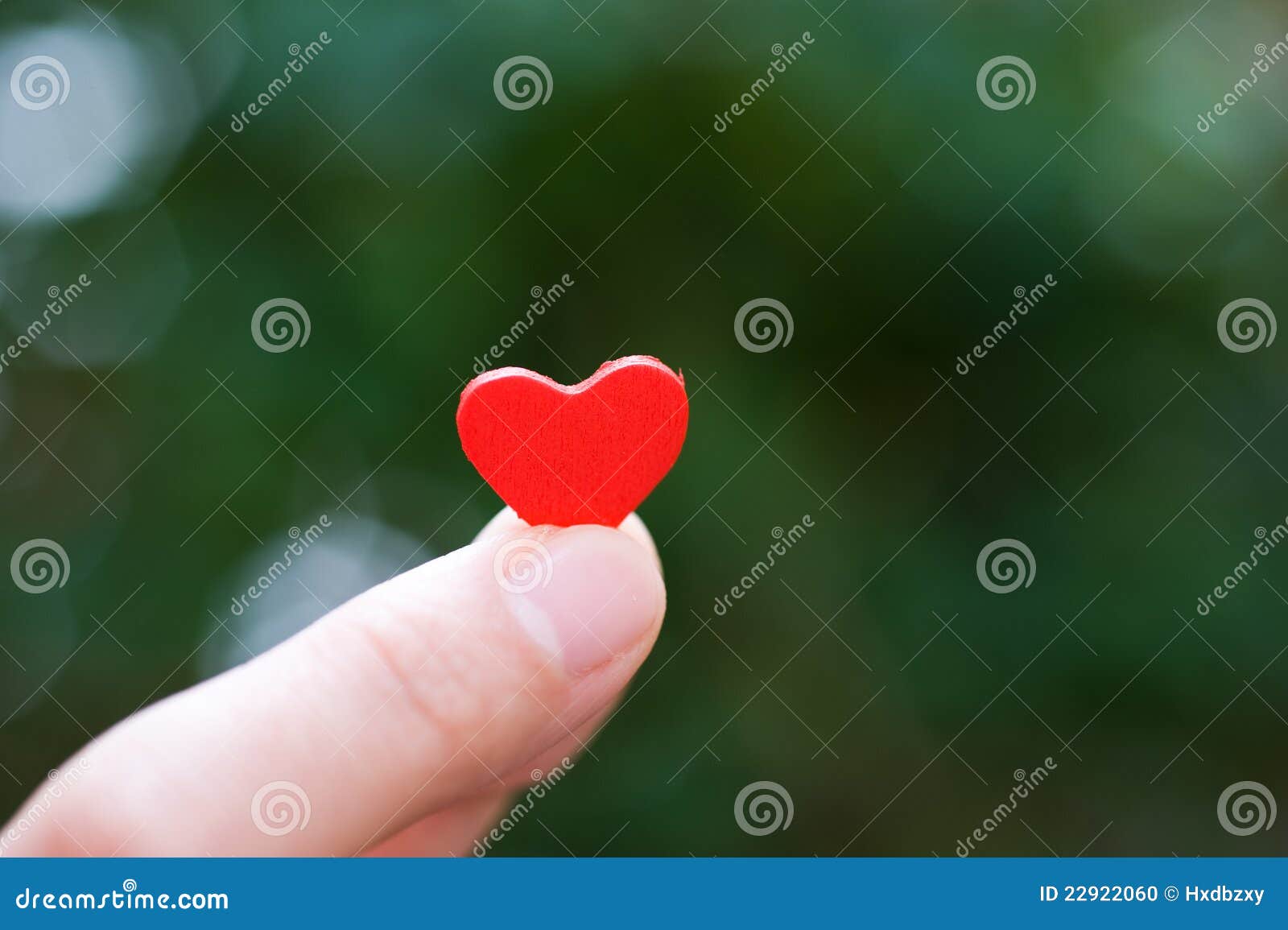 Heart in the hand stock photo. Image of amour, deliver - 22922060