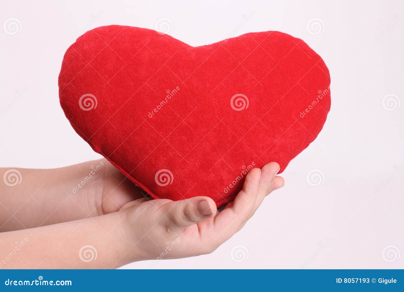Heart in hand stock image. Image of hand, donate, valentine - 8057193