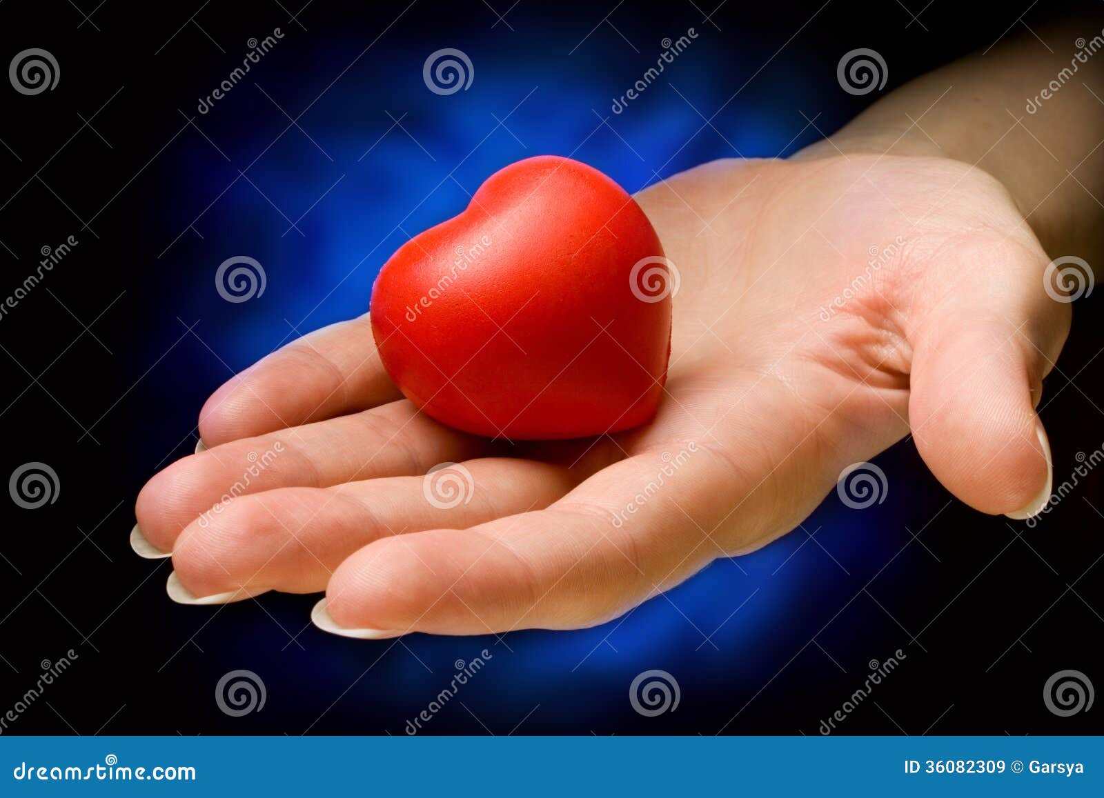 Heart in hand stock image. Image of female, present, life - 36082309