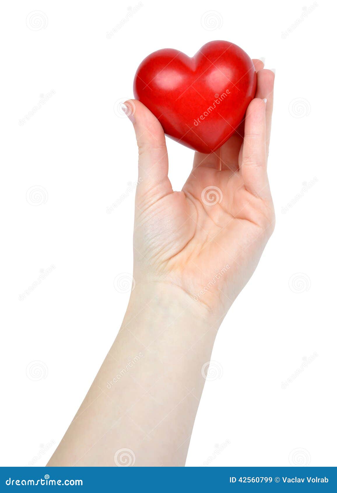 Heart in hand stock image. Image of people, assistance - 42560799