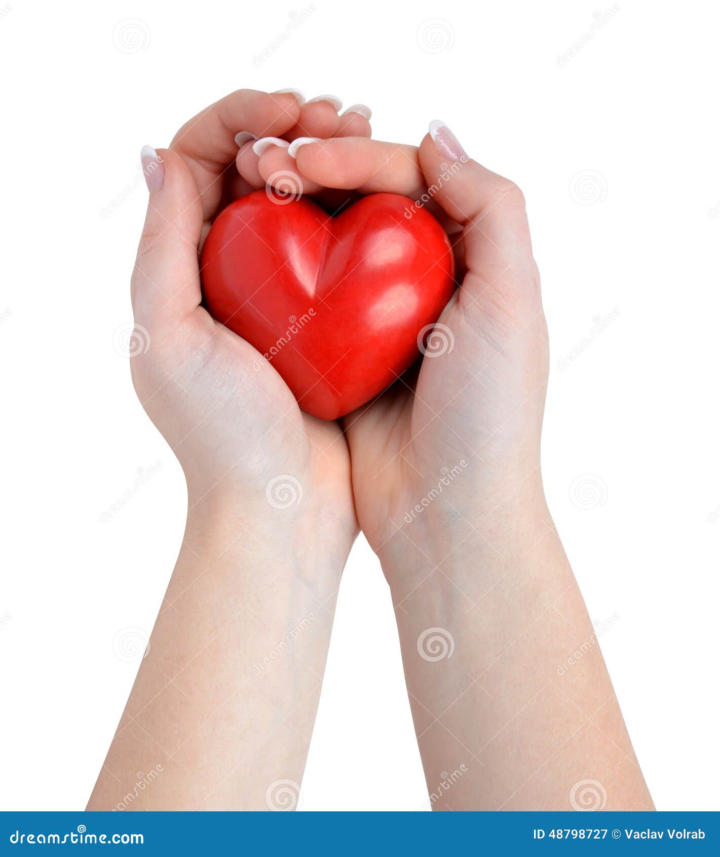 Heart in hand stock image. Image of relations, give, healthy - 48798727