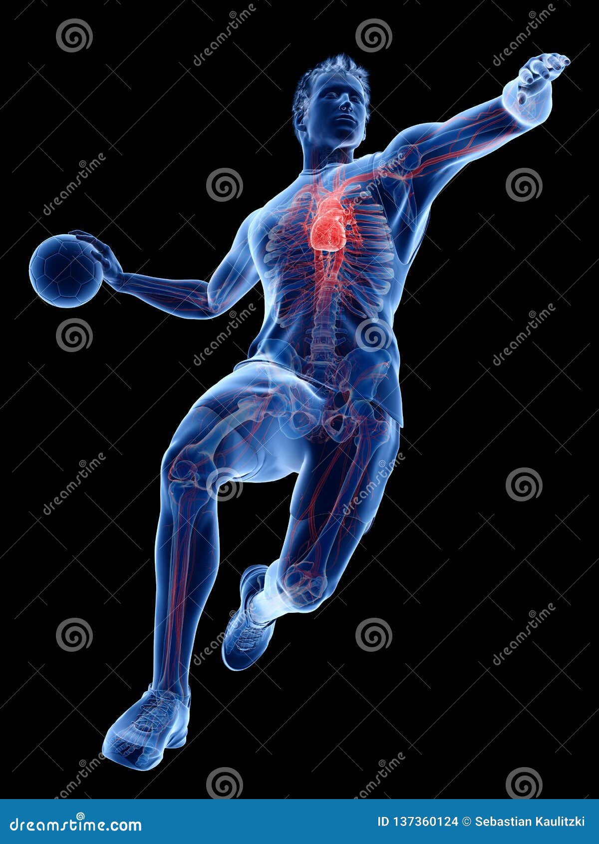 The Heart of a Handball Player Stock Illustration - Illustration of ...