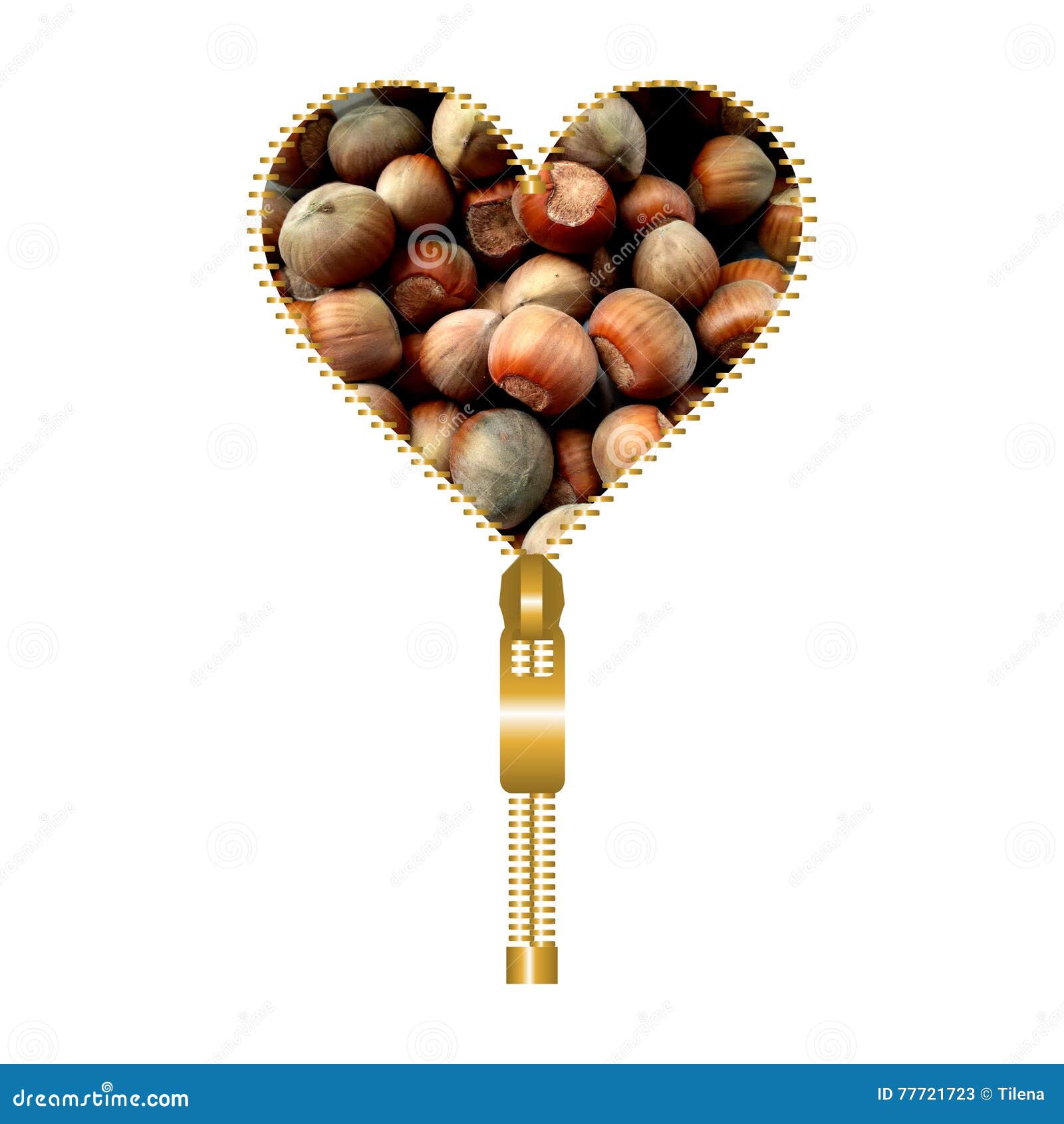 Heart with hazelnuts stock illustration. Illustration of autumn - 77721723