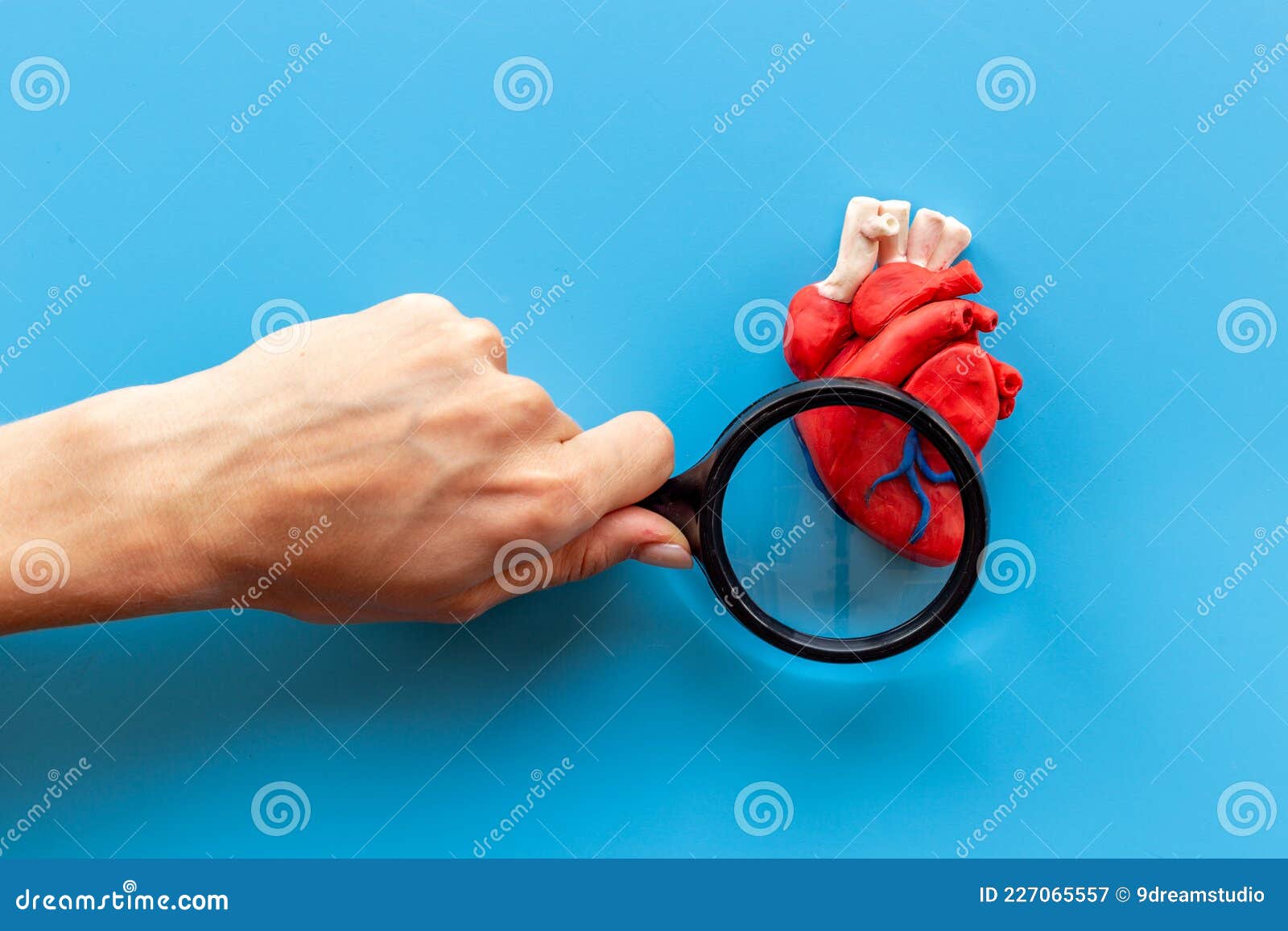 Heart Health Concept with Hands and Human Heart Model Stock Image ...