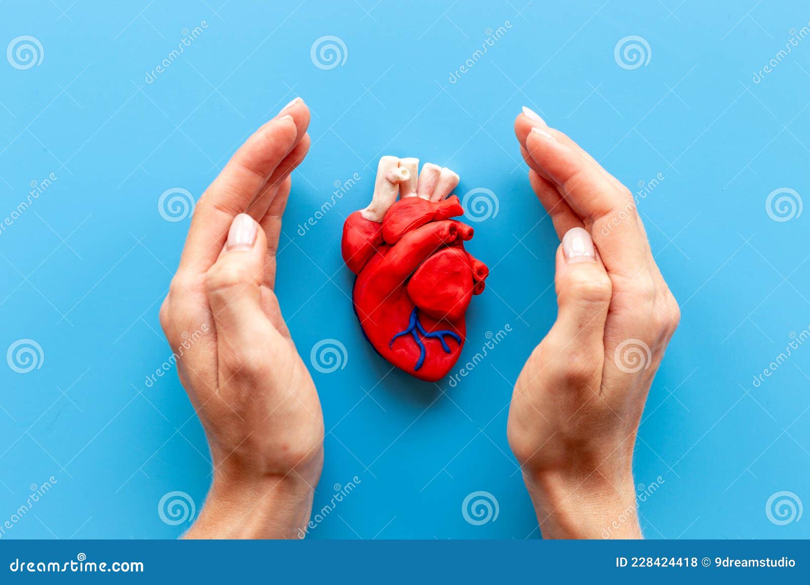 Heart Health Concept with Hands and Human Heart Model Stock Photo ...
