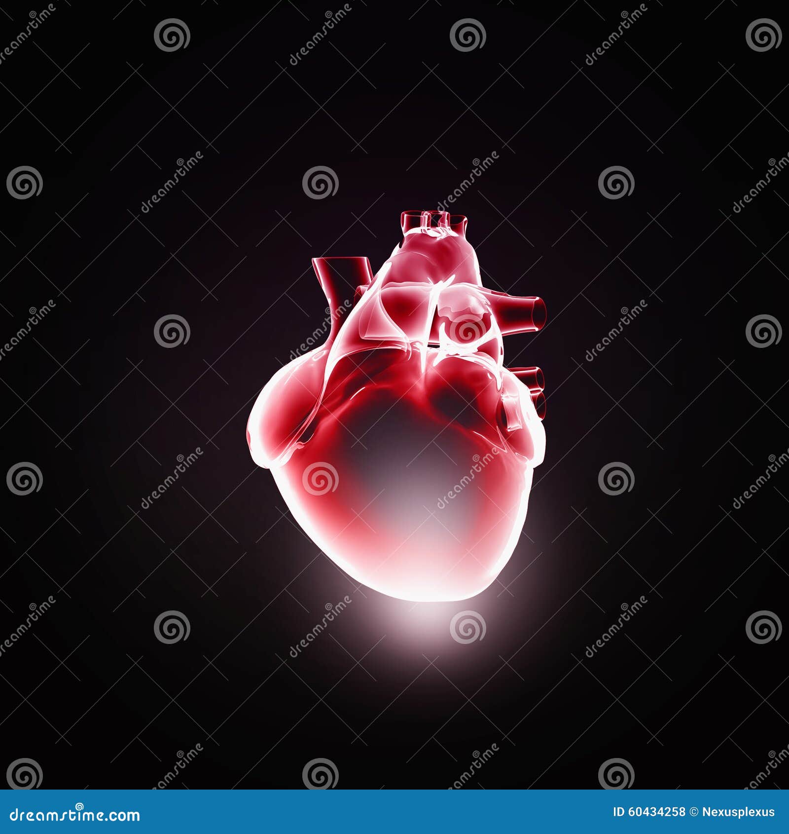 Heart health stock illustration. Illustration of click - 60434258