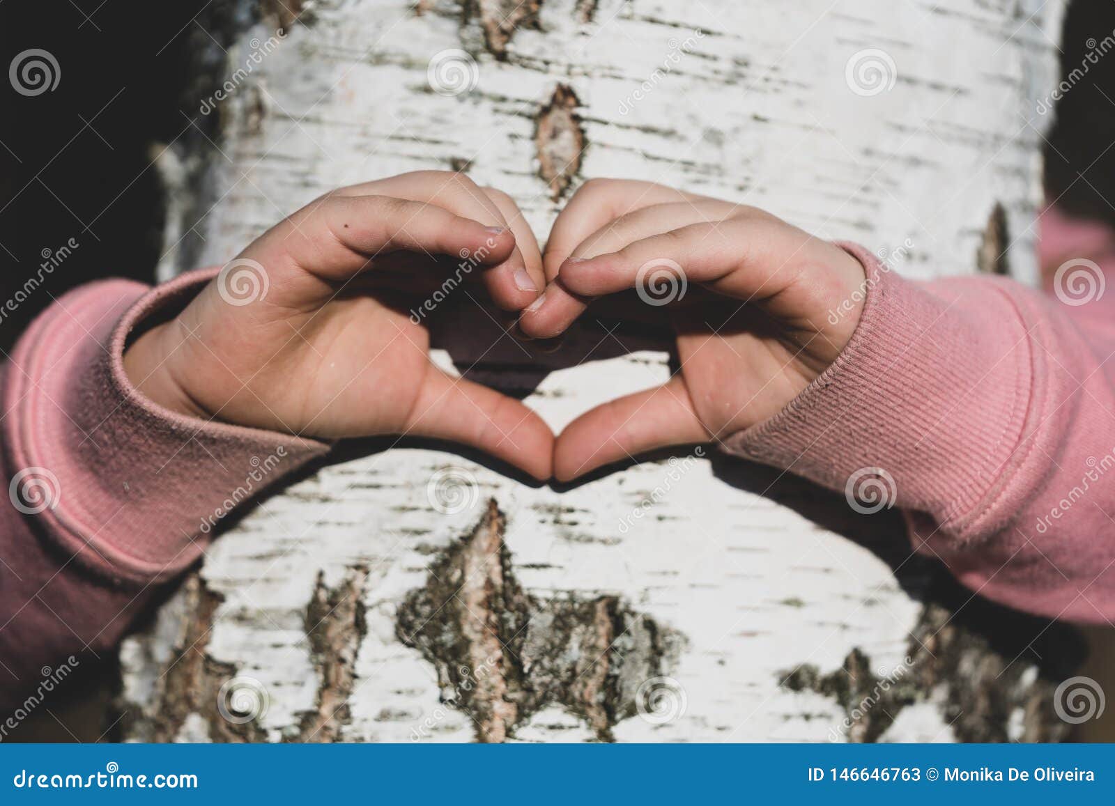Heart stock image. Image of herat, nature, tree, love - 146646763