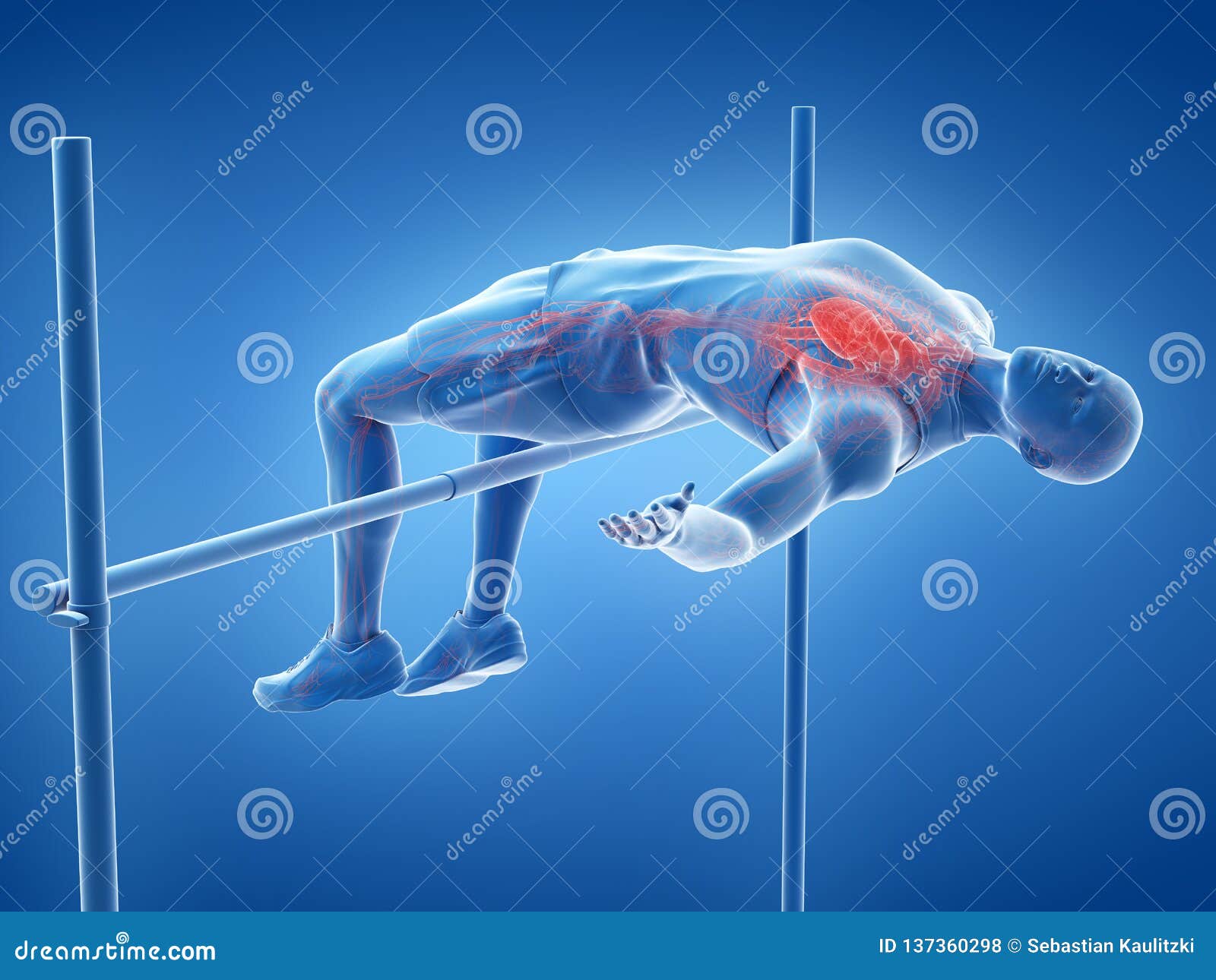 The heart of a high jumper stock illustration. Illustration of body ...